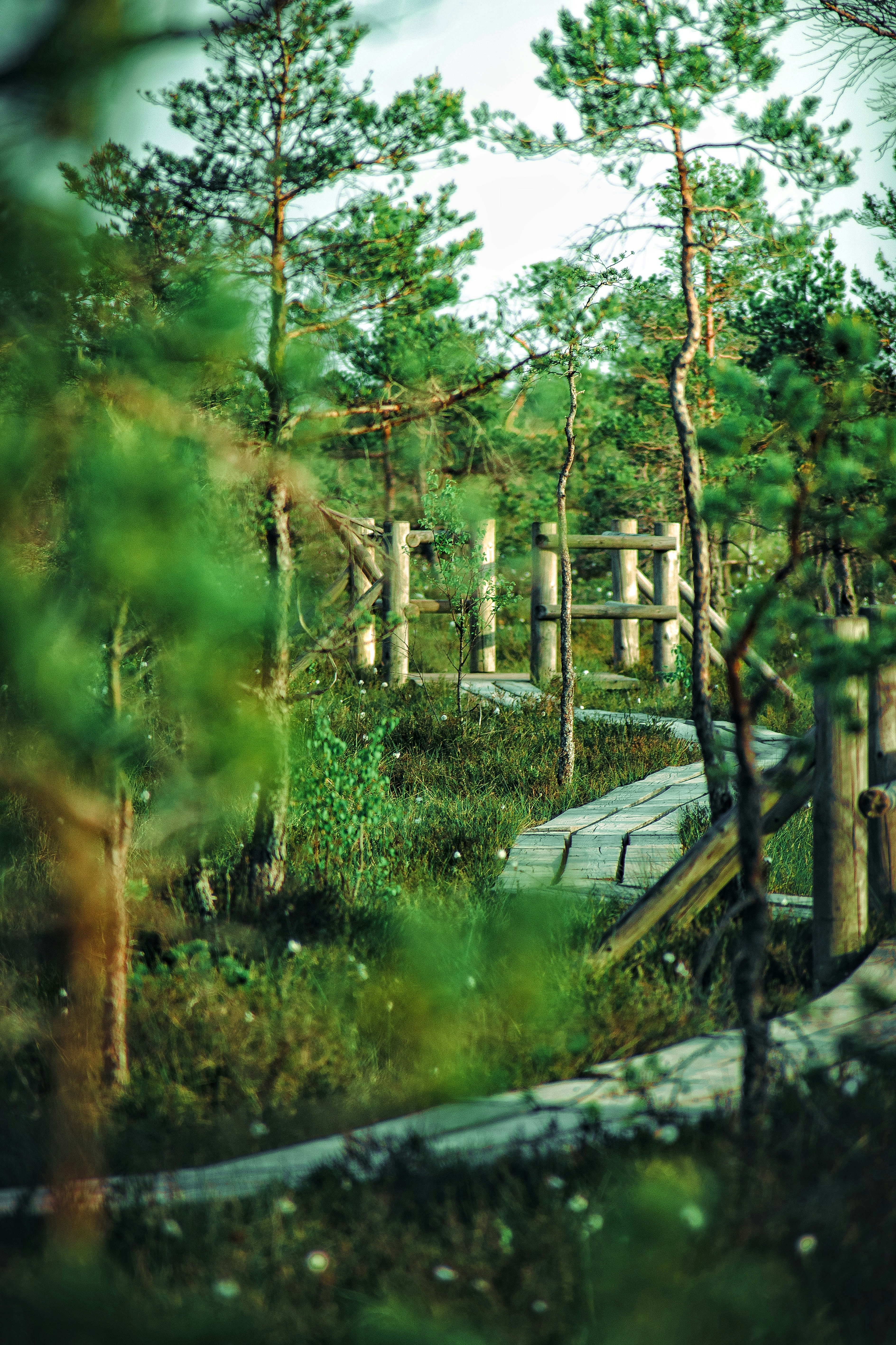 Photo by Kristīne Kozaka with Nikon D3500