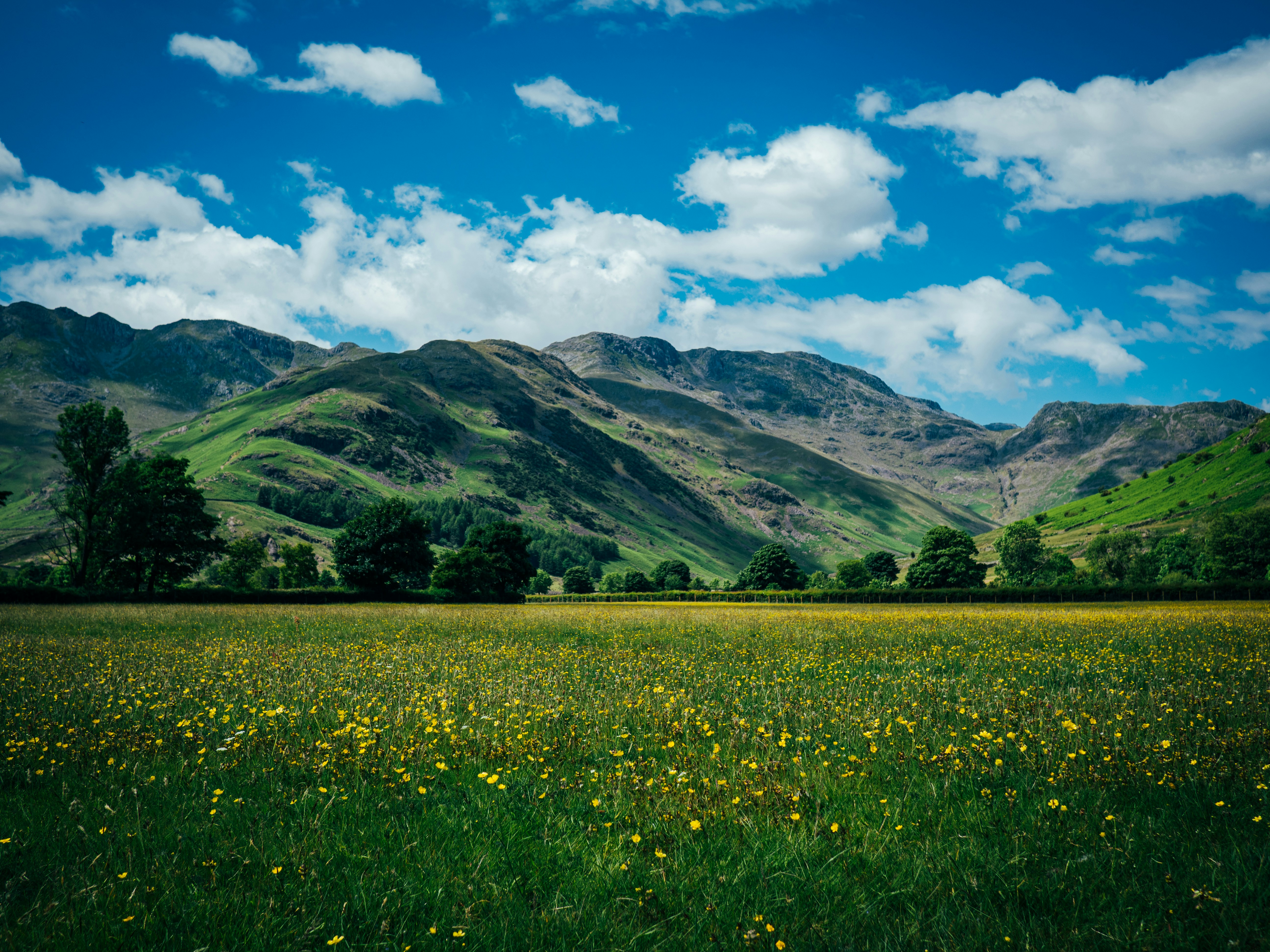 Amber Meadow at the Foot of Emerald Hills