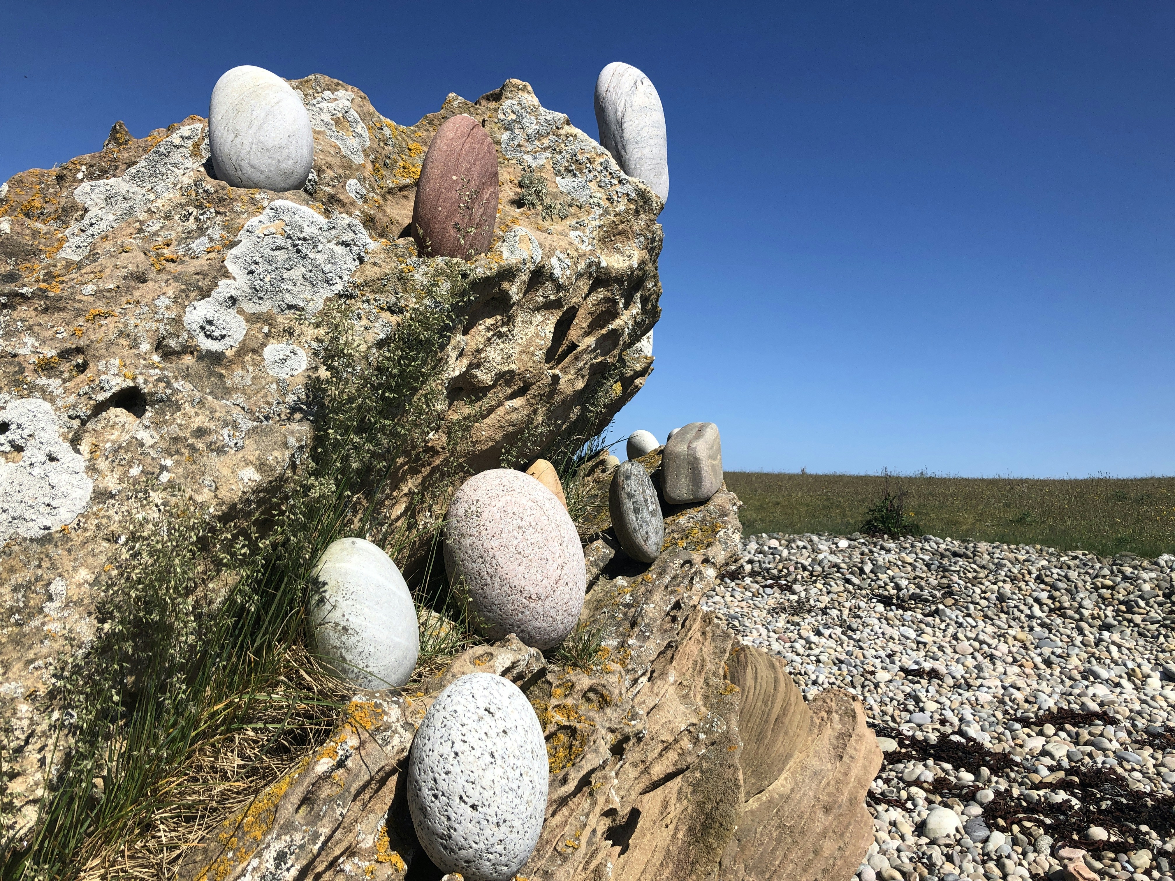 Red Dot (@designfactory) | Komunitas Foto Unsplash