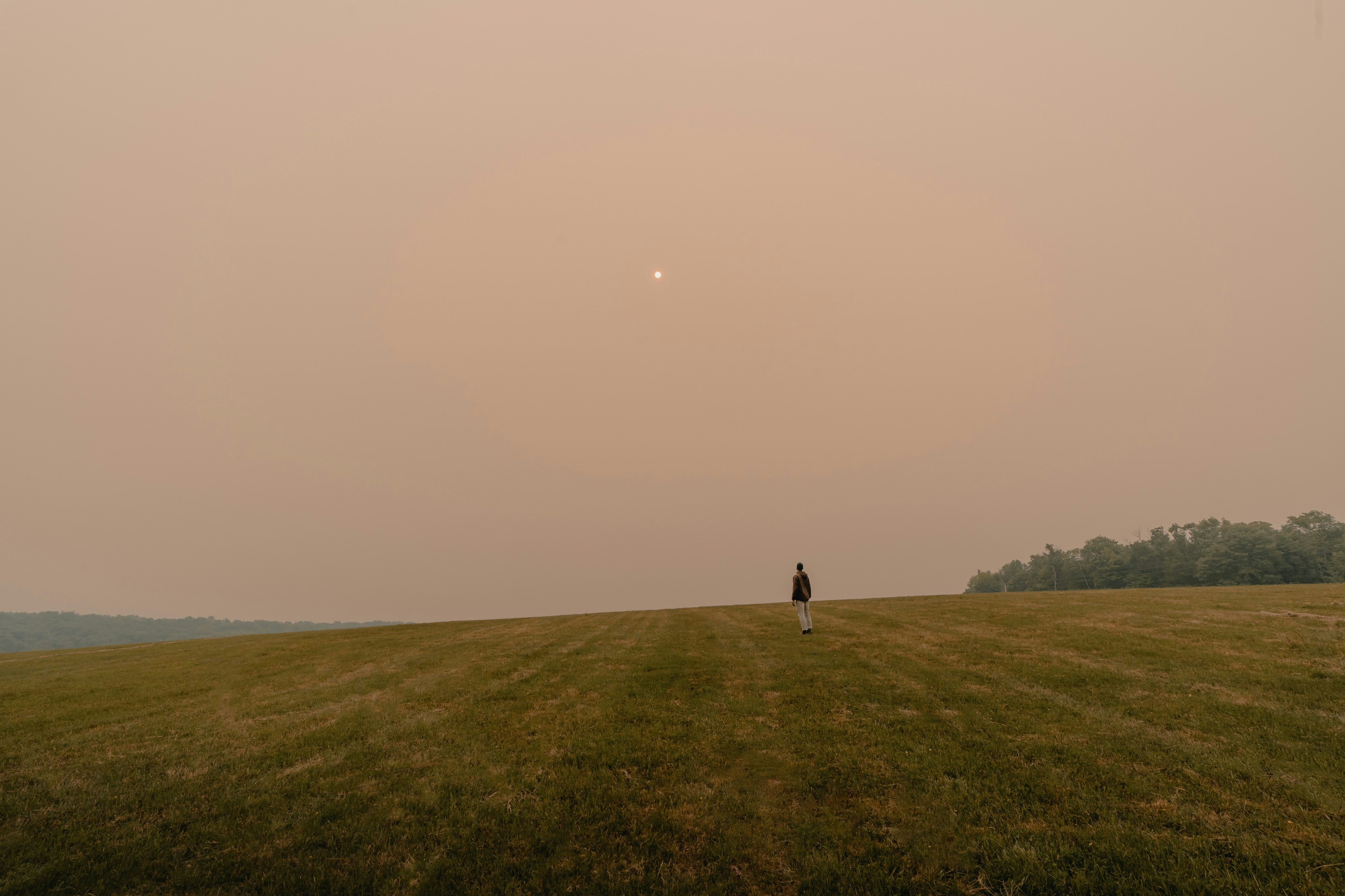A Lone Figure Stands Gentle on a Dune-Bent Horizon