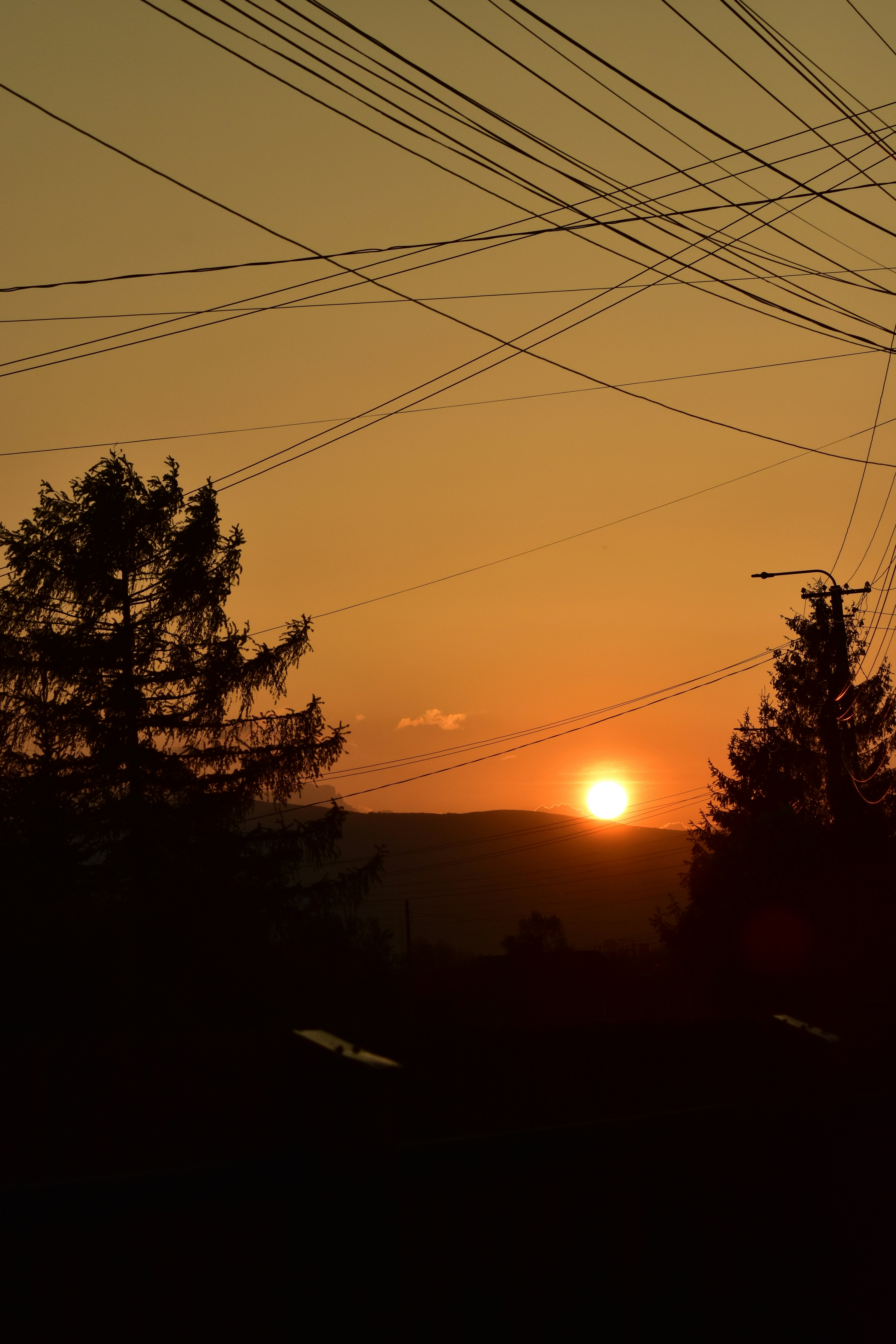 Crimson Horizon: Silhouetted Pines and Crossing Wires at Sunset