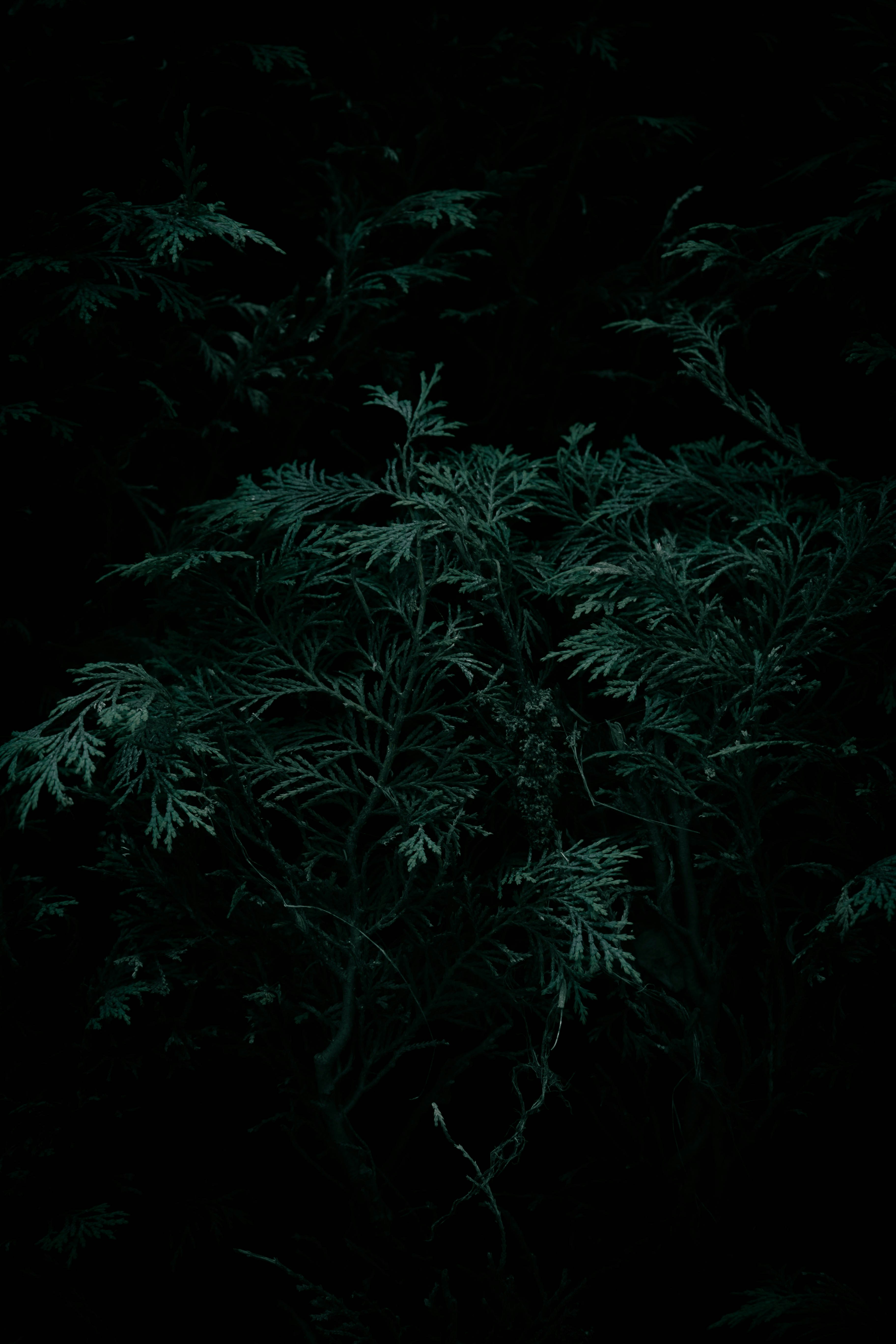 Photo by Jack Baxter with Canon EOS 6D