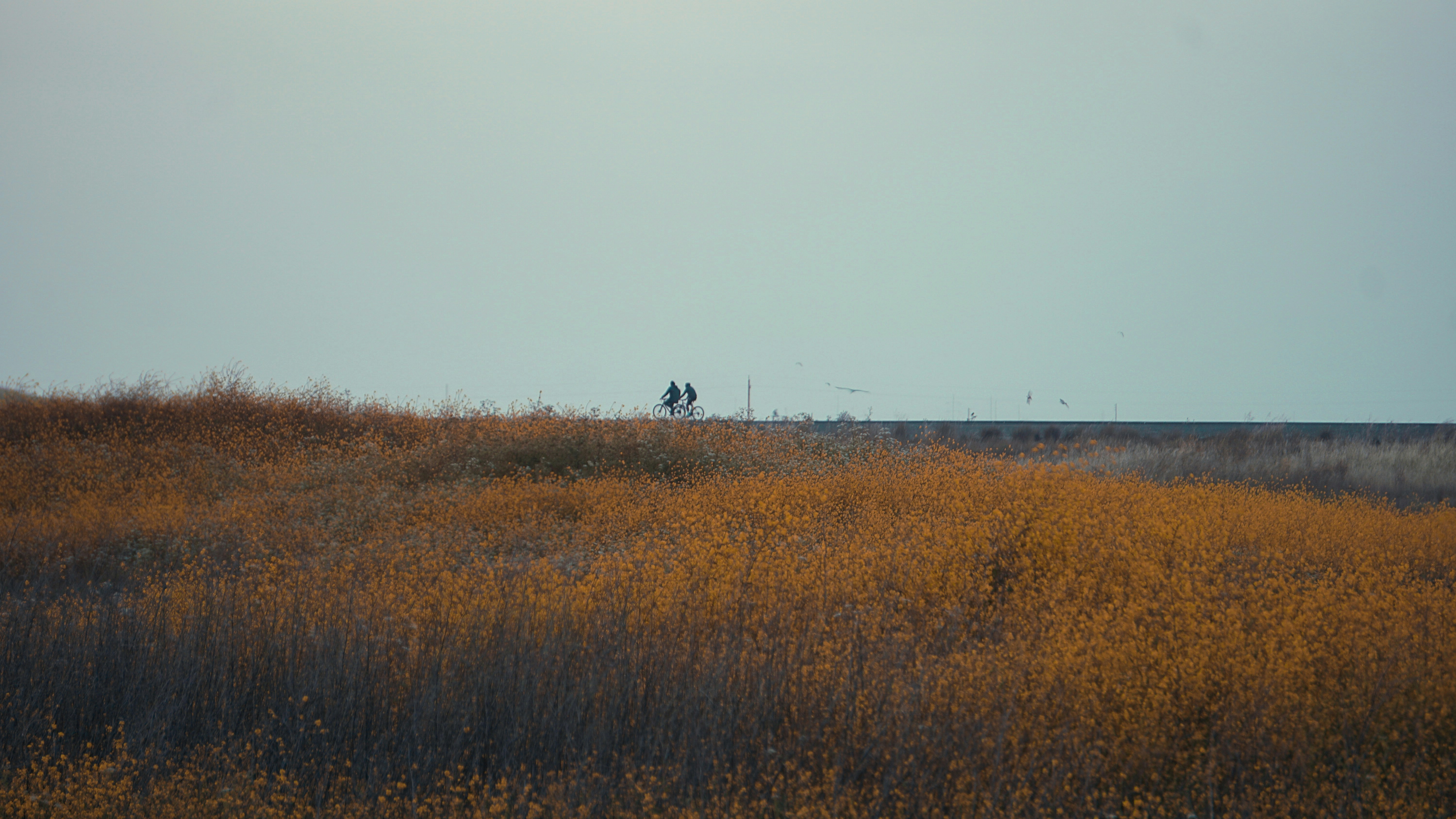 Photo by Enq 1998 with Sony Alpha 6000