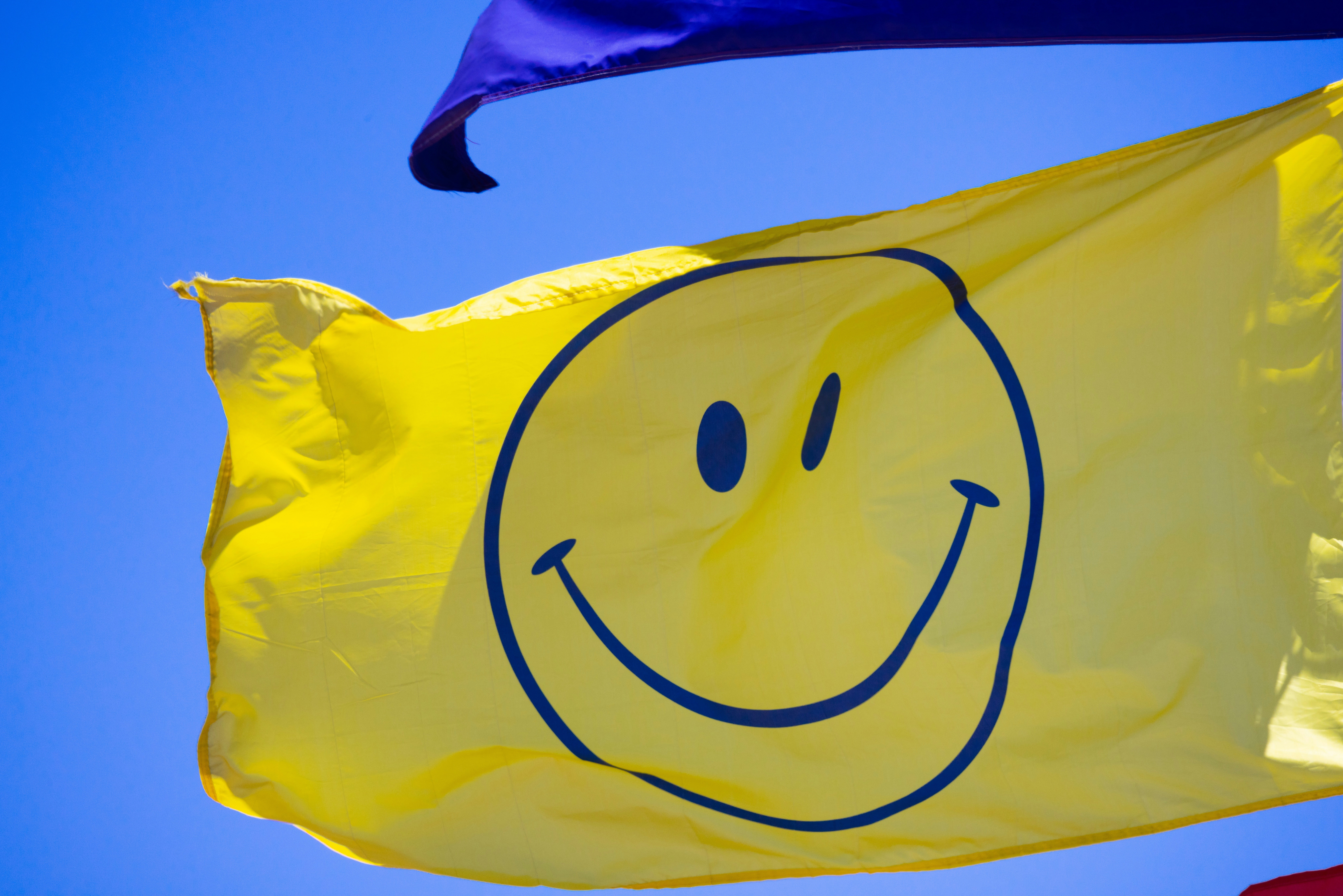 A smiley face on a yellow and blue flag photo – Free Smiling face Image ...