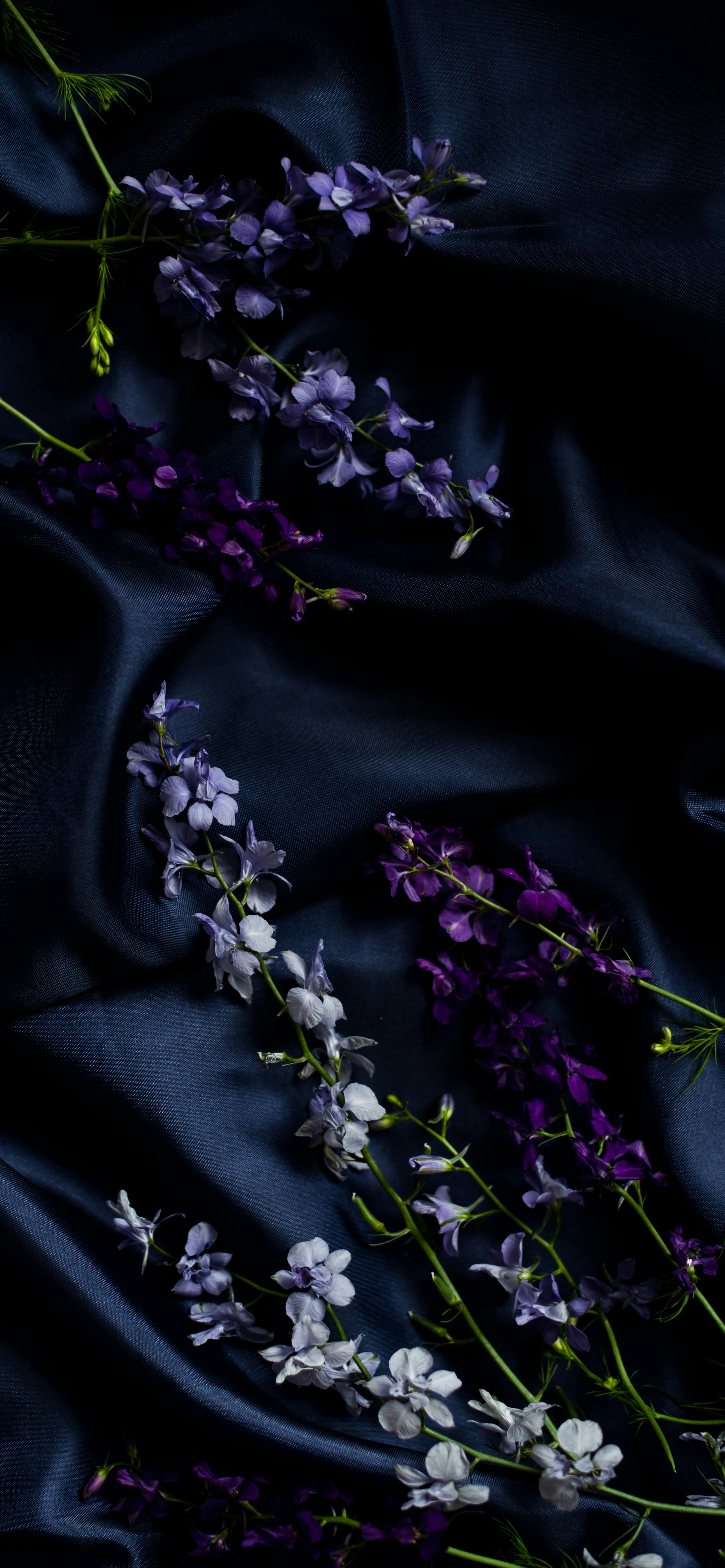 Violet Delicacy on Velvet: Delicate Blooms Weaving Through Satin