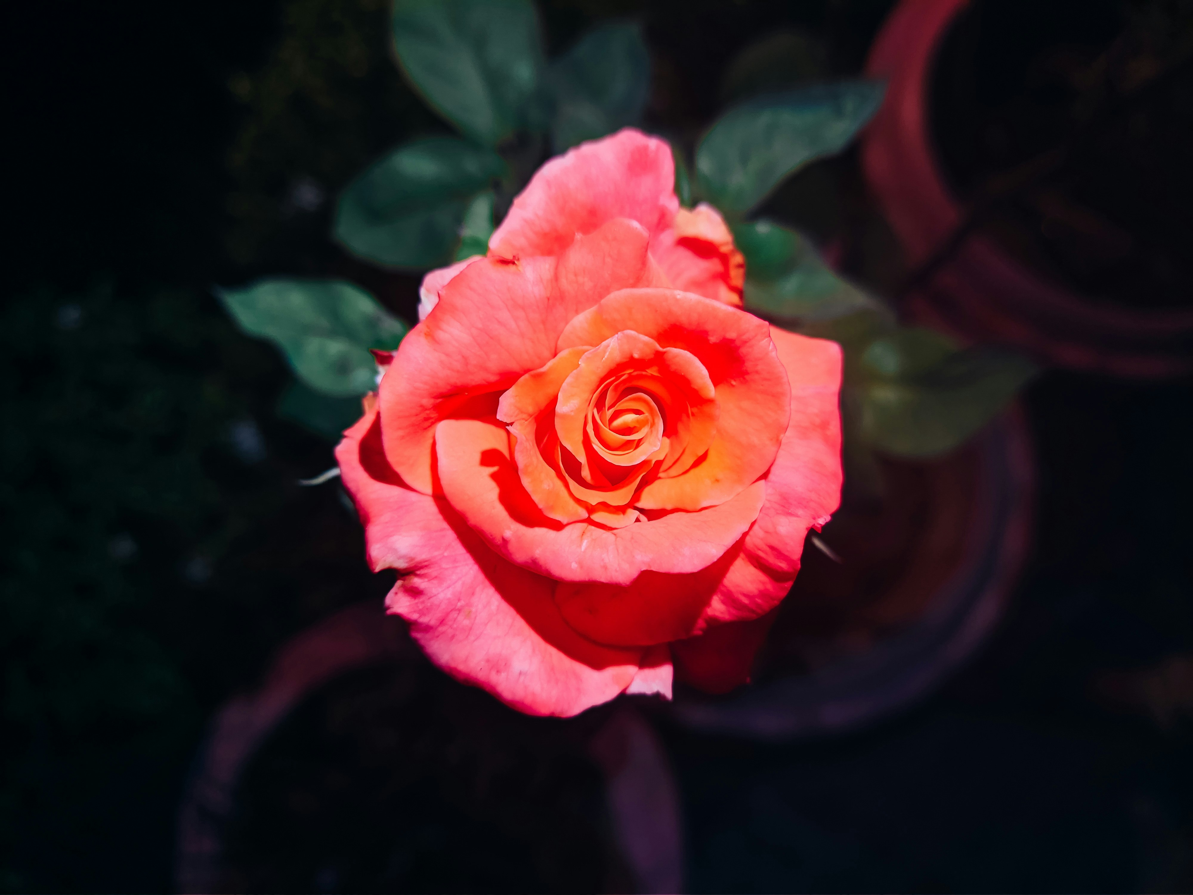 Sample photo from Xiaomi Poco F3