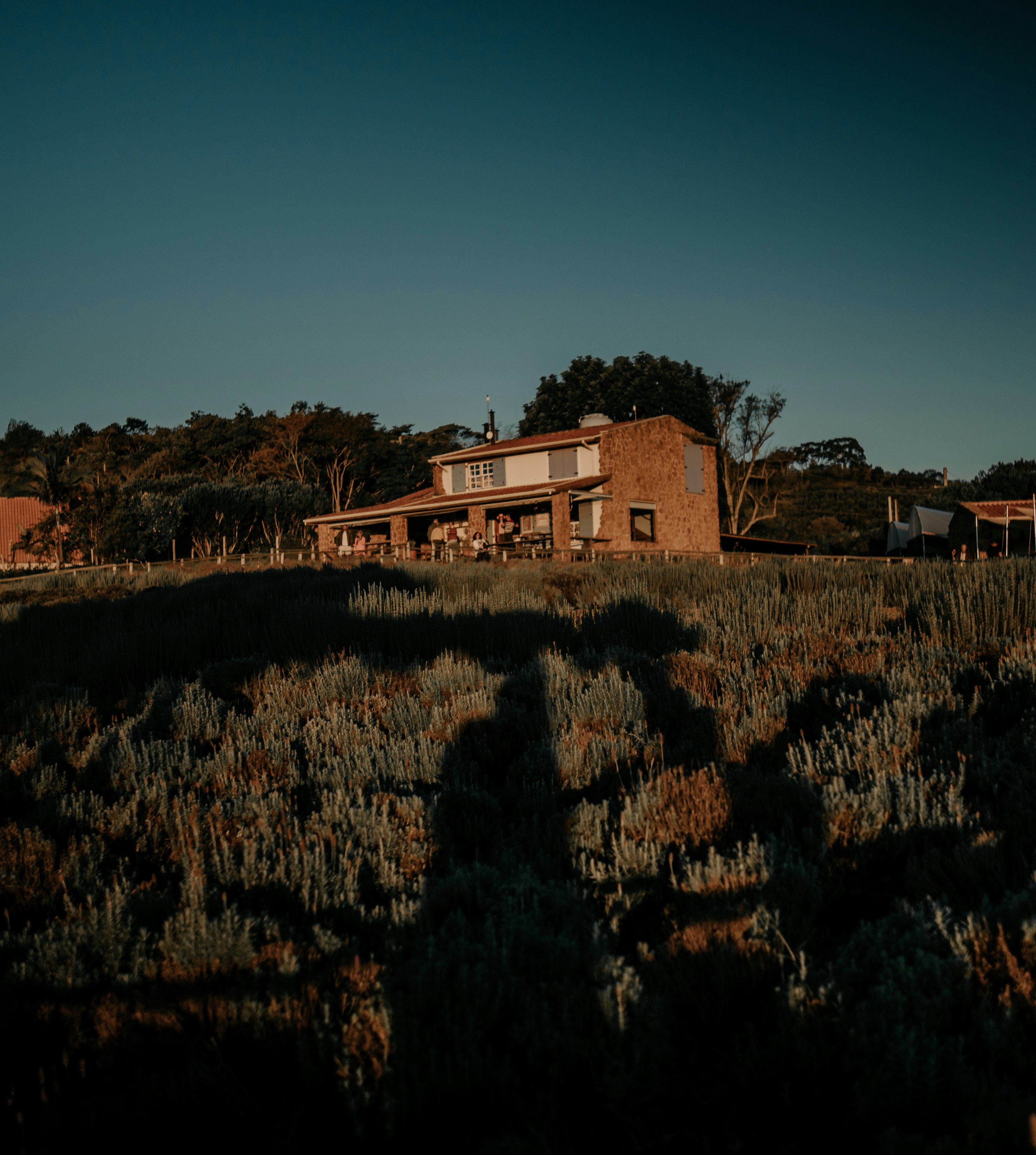 Hearth and Horizon: A Quiet Ranch at Dusk