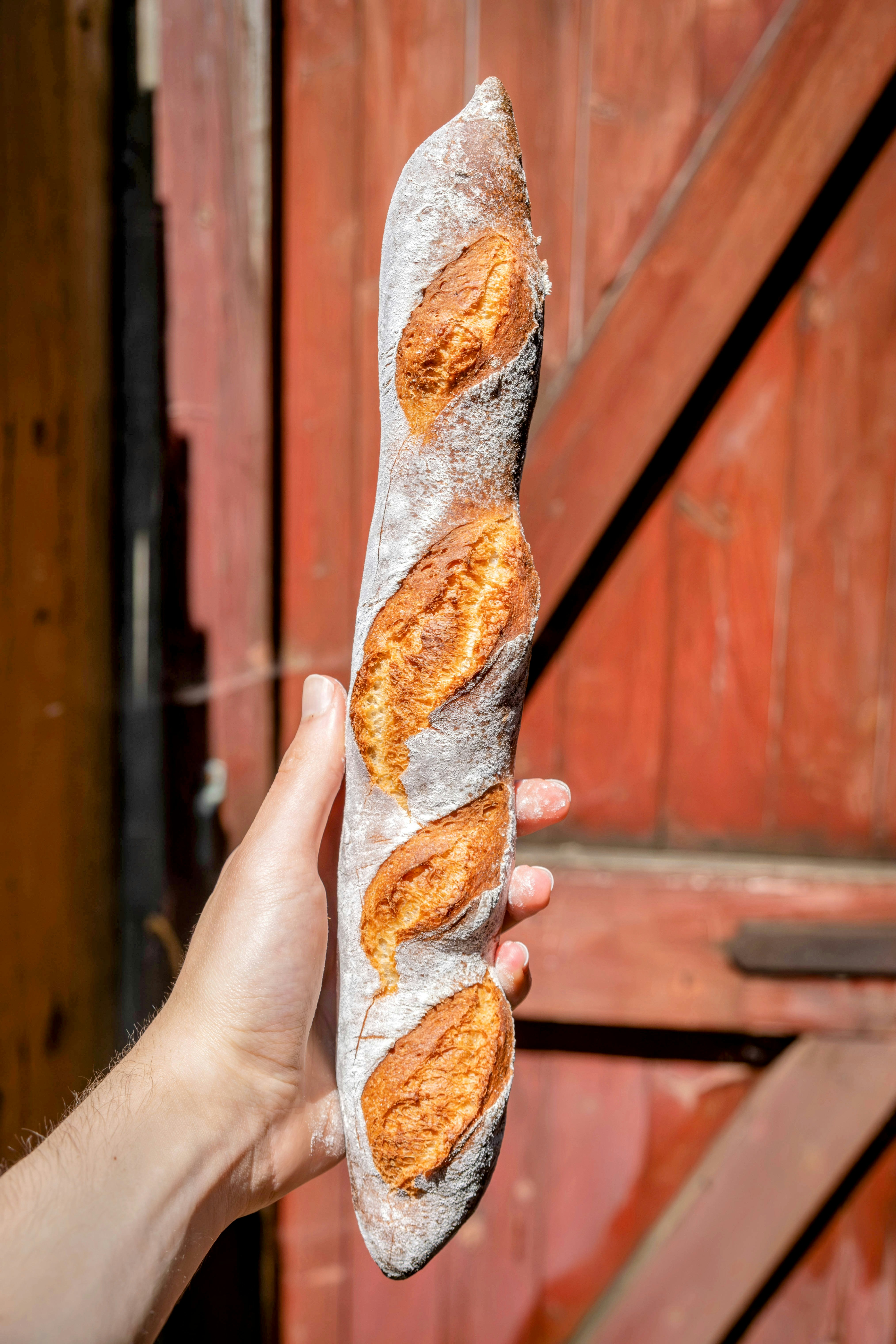 30k+ Baguette Pictures | Download Free Images on Unsplash