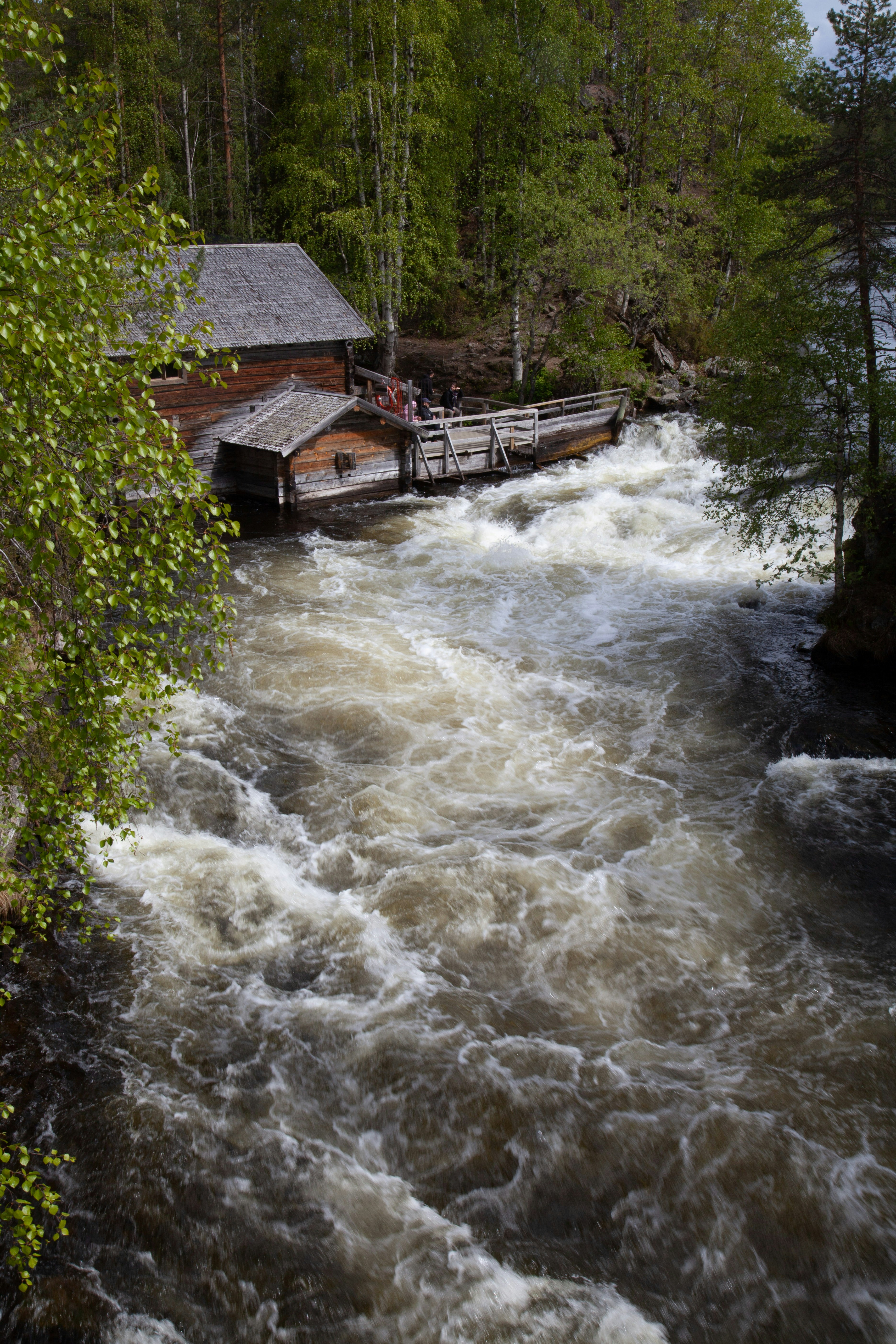 Parque Nacional Oulanka Fotos | Baixe imagens gratuitas na Unsplash