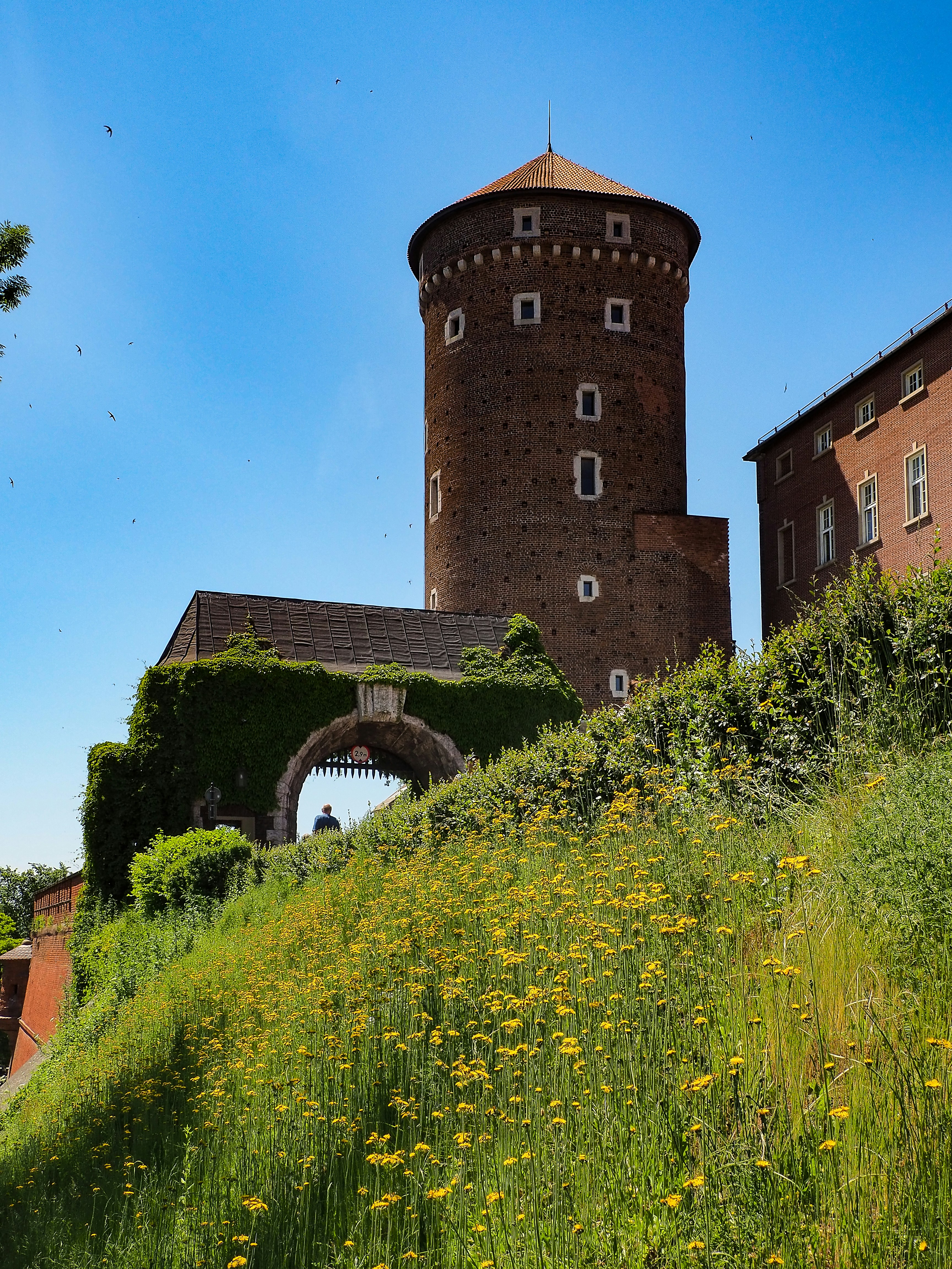 A tall brick tower sitting on top of a lush green hillside photo – Free ...