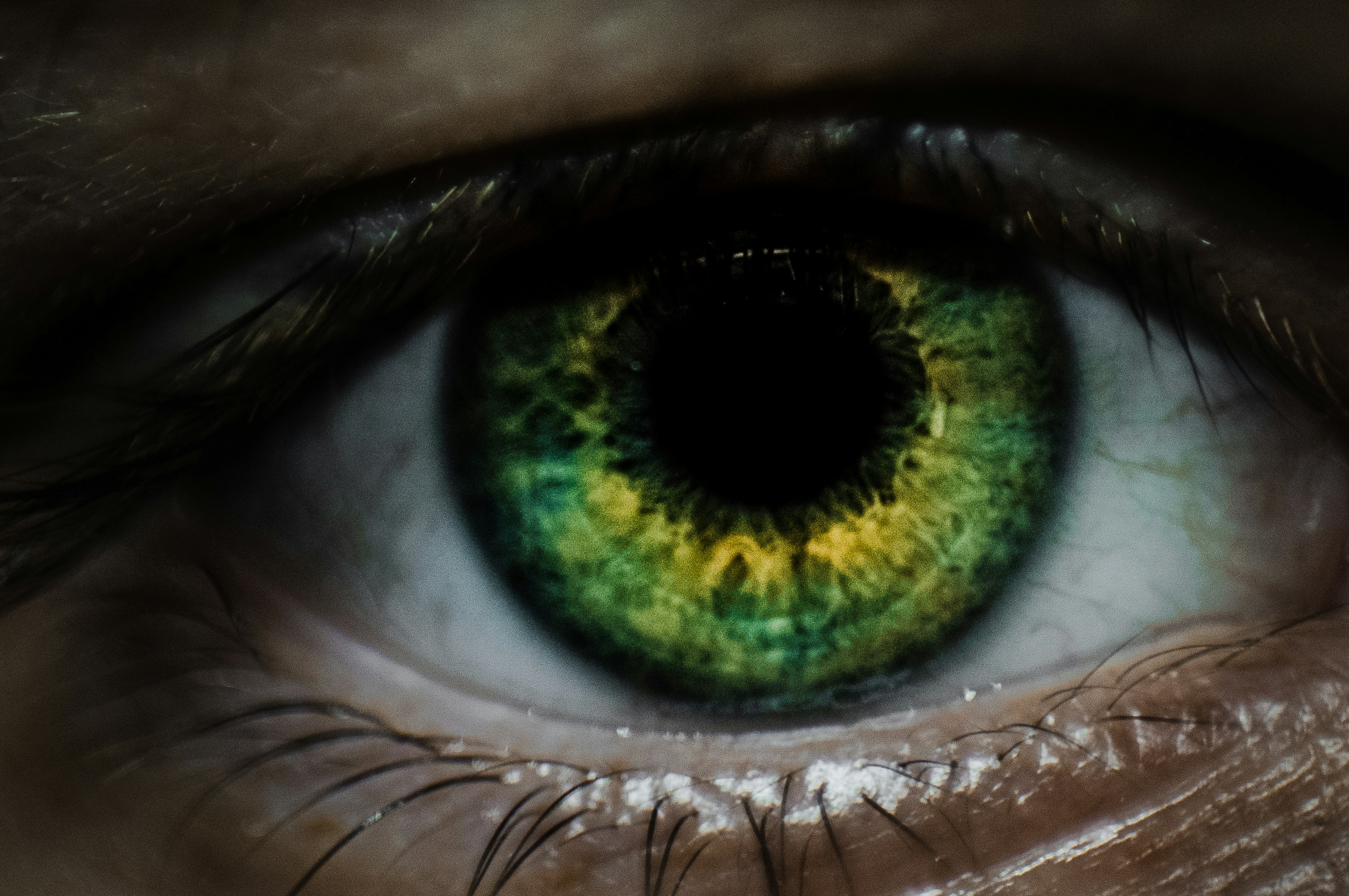 Photo by Dylan Michaud with Sony Alpha 7 III