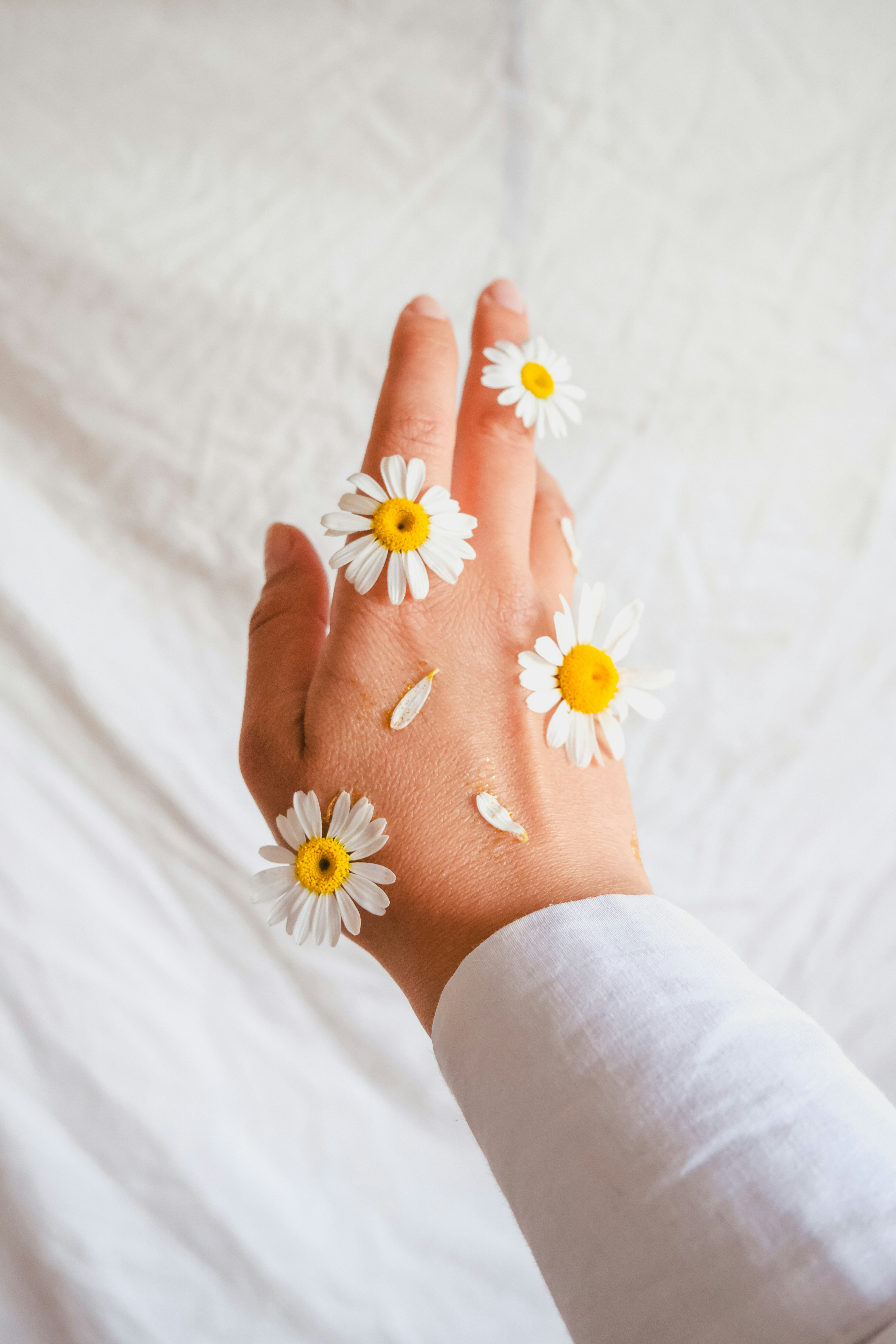 Daisy-Filled Hand: Gentle Blooms resting on a Tender Palm