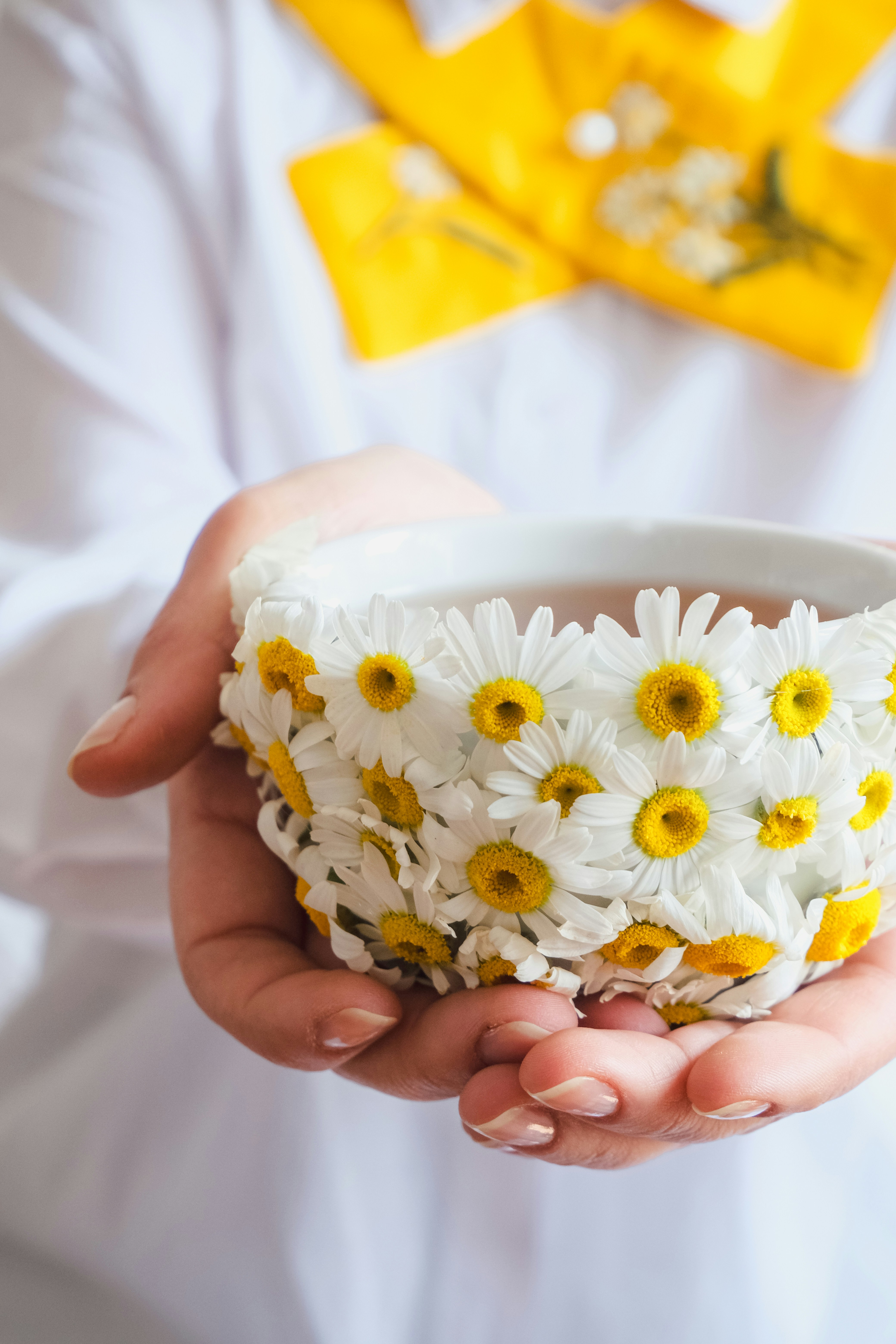 Petal Lace Cup: A Close-Up of Daisies in Hand
