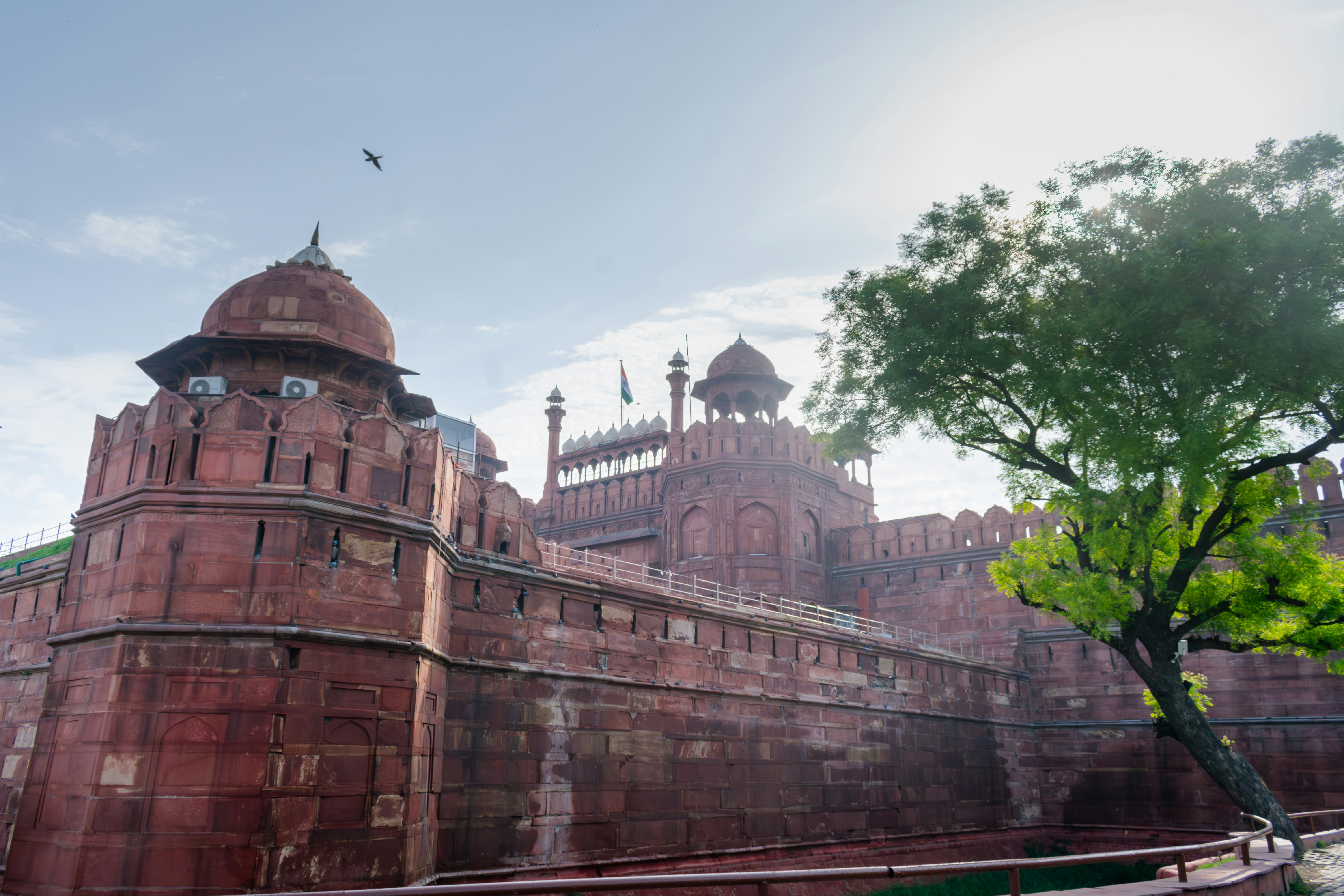 Sunlit Bastions and a Lone Tree Guard the Red Fort Walls