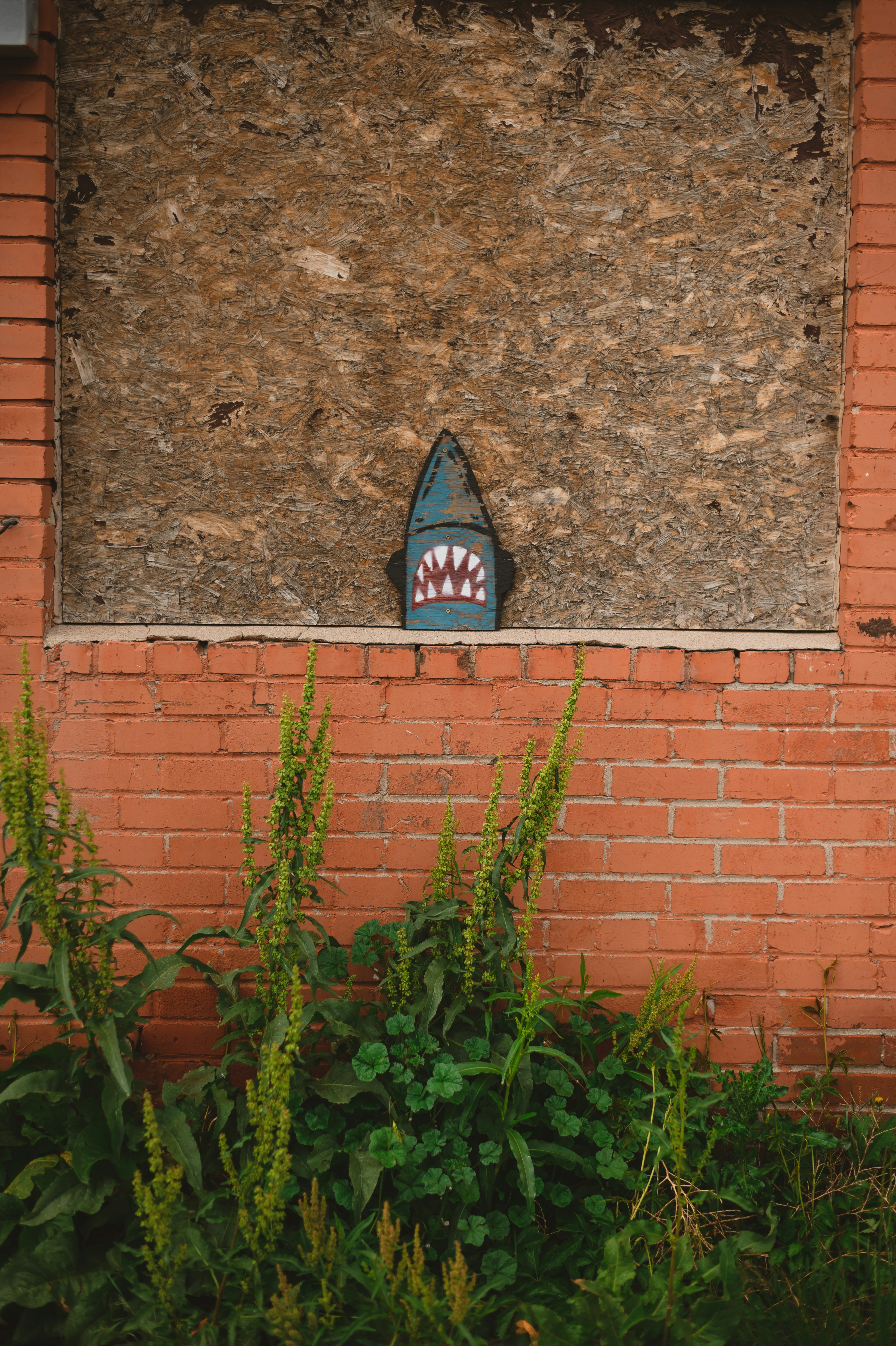 A brick wall with a fake shark head on it photo – Free Brick Image on ...