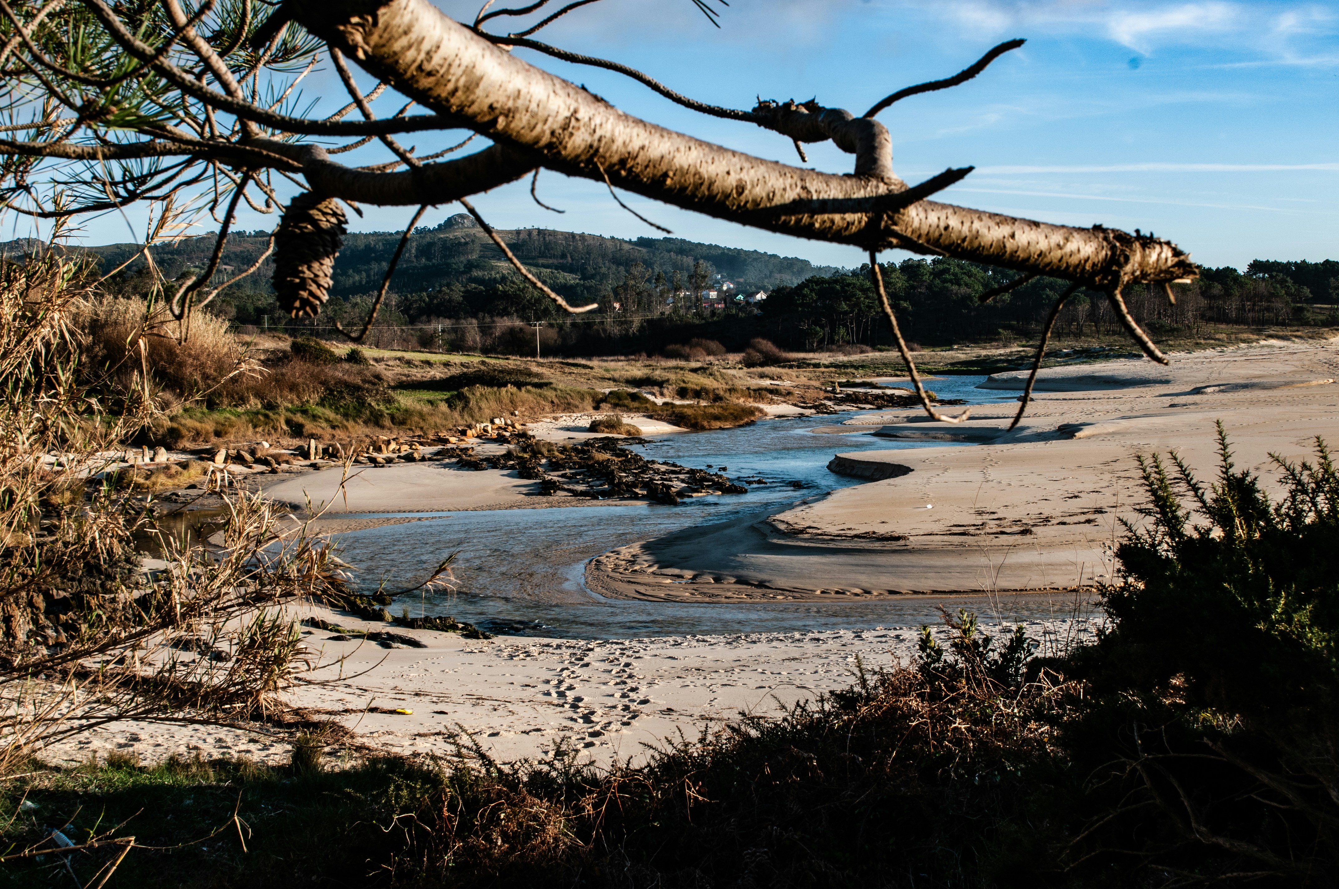 A serene view of a winding river flowing through a sandy beach, framed by branches and distant hills. Footprints in the sand hint at recent visitors.