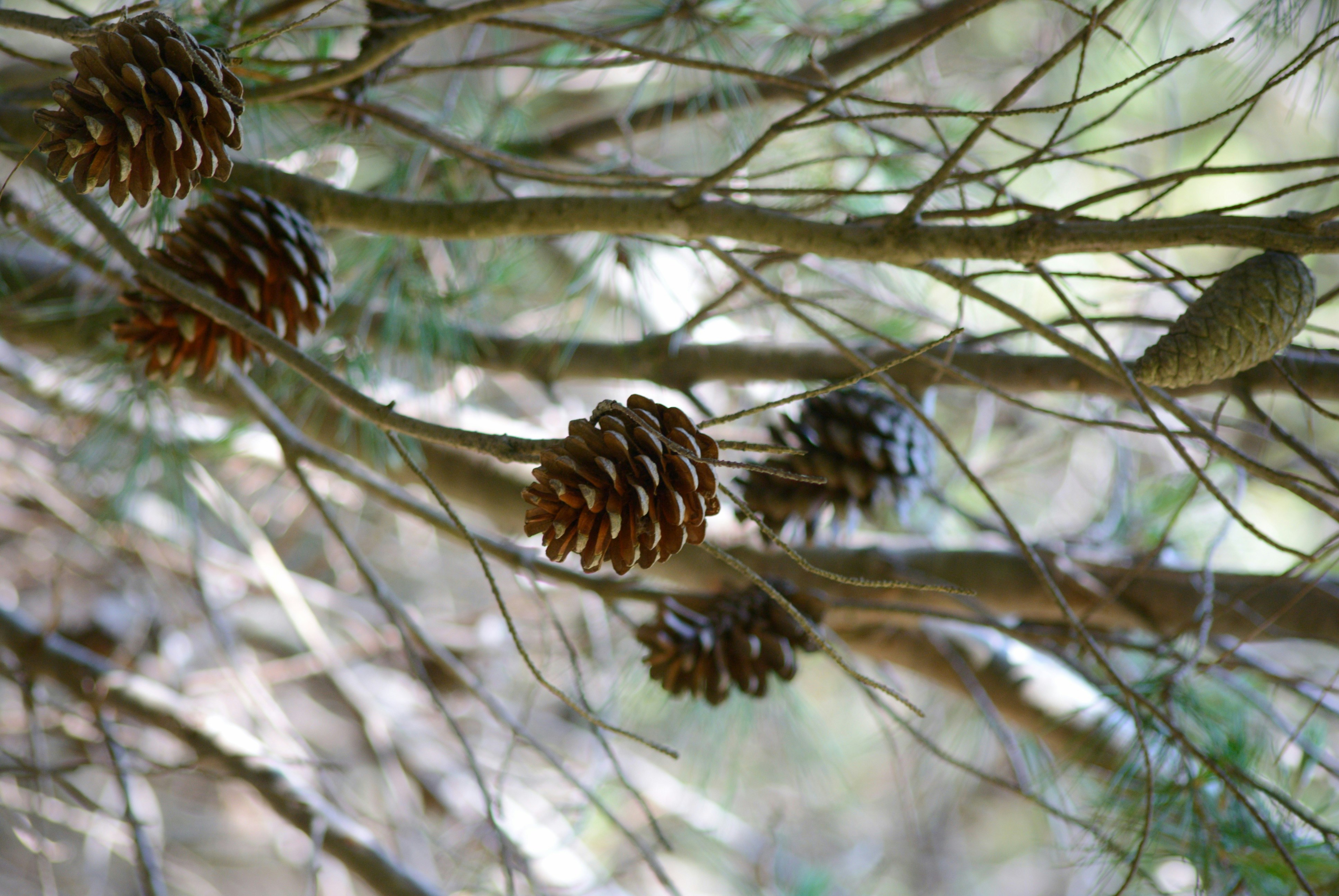 Photo by Daniele M with Nikon D60