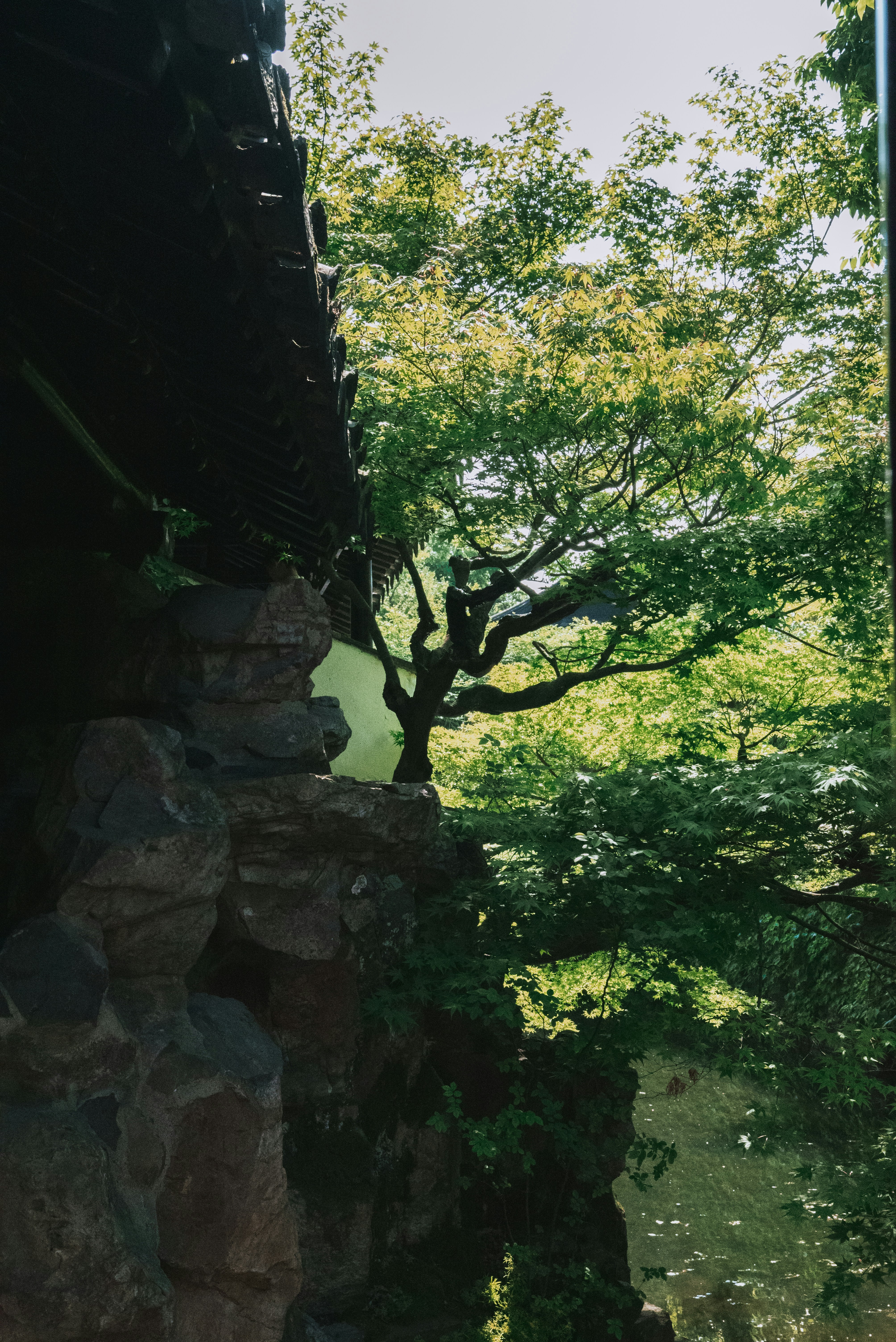 A view of a tree through a window photo – Free China Image on Unsplash