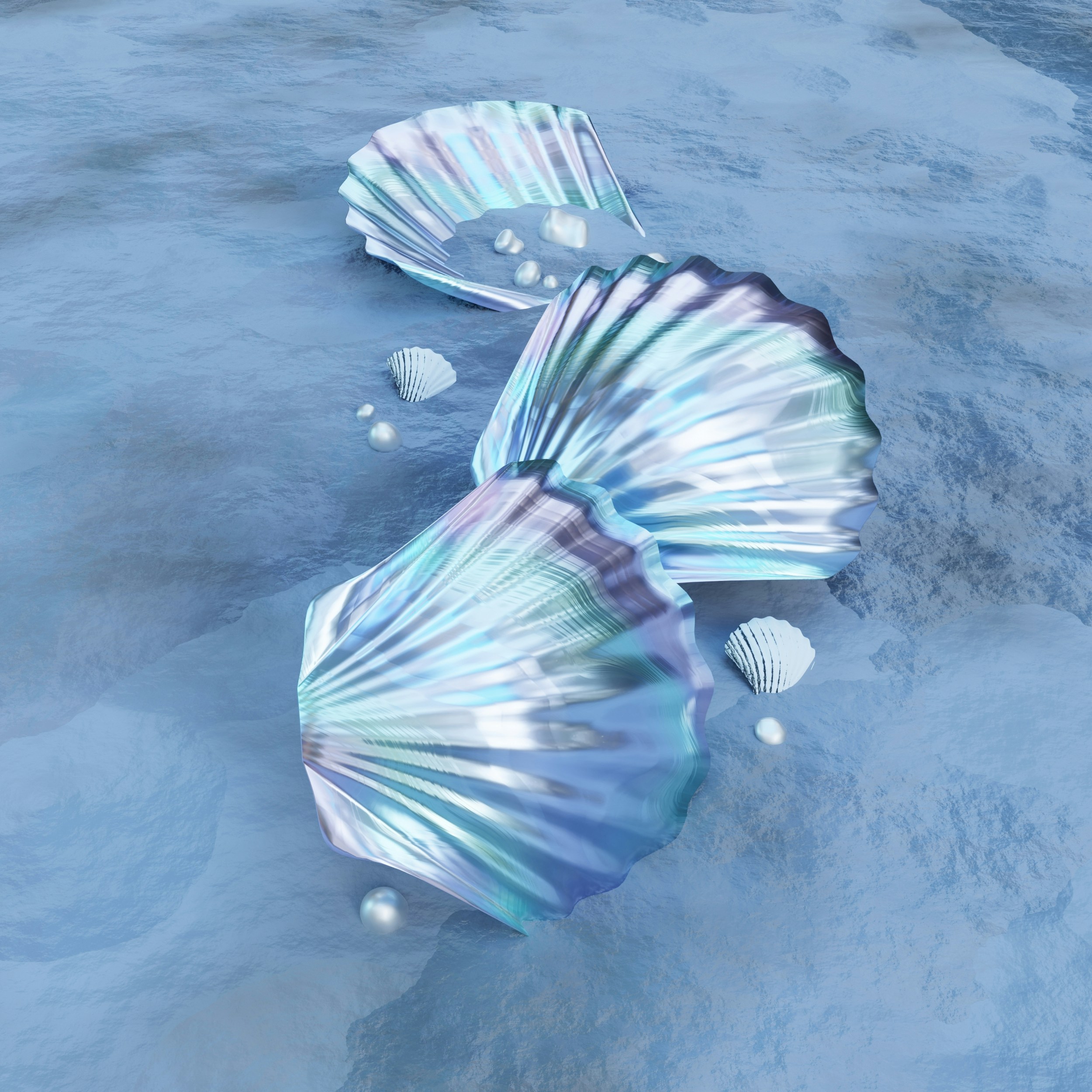 A group of seashells floating on top of a body of water photo – Free ...