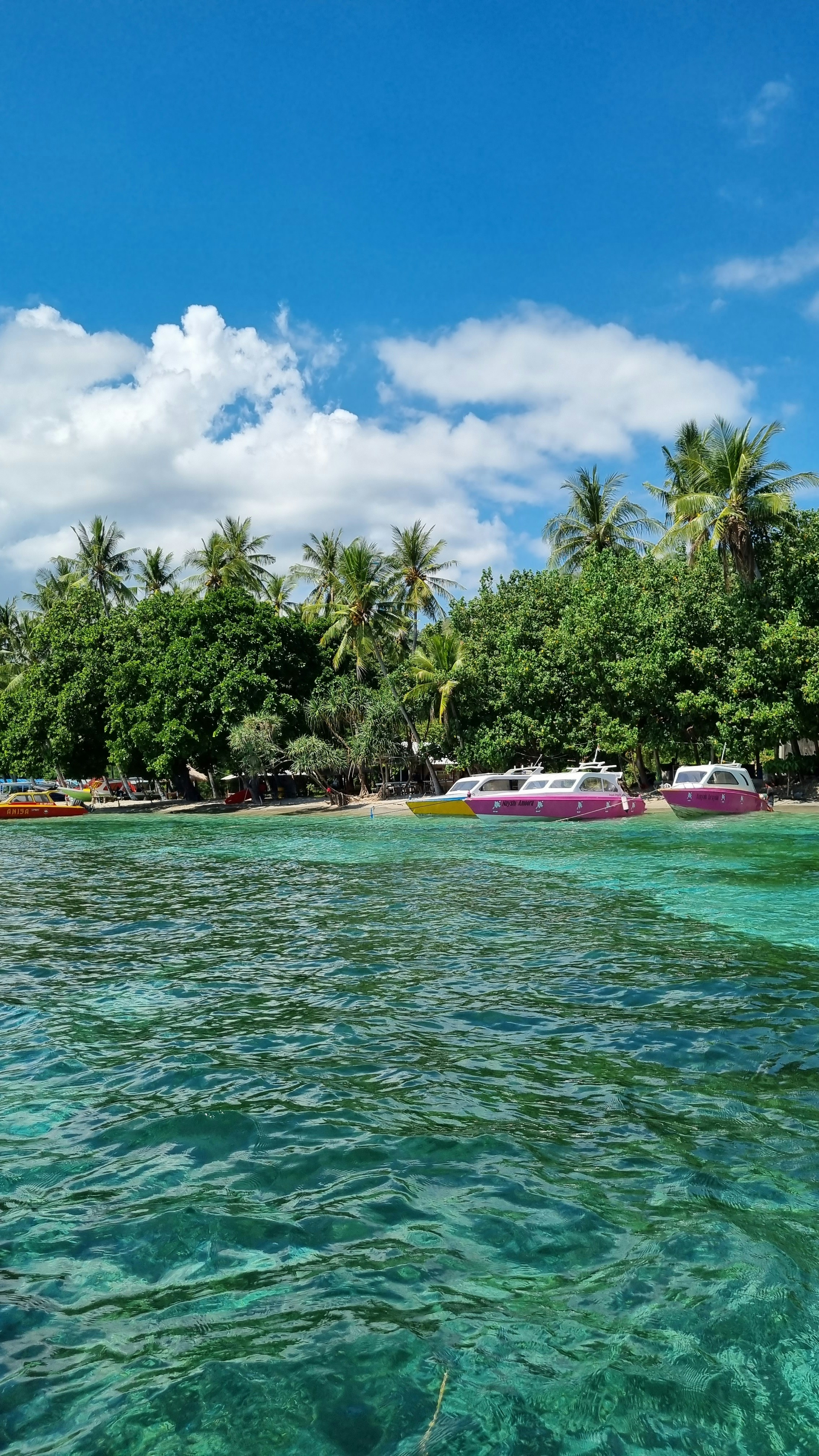 a body of water surrounded by trees and boats