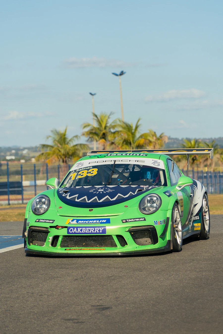 Green Porsche race car with shark‑mouth hood decal and number 133 speeding on a sunlit racetrack with palm trees in the background.