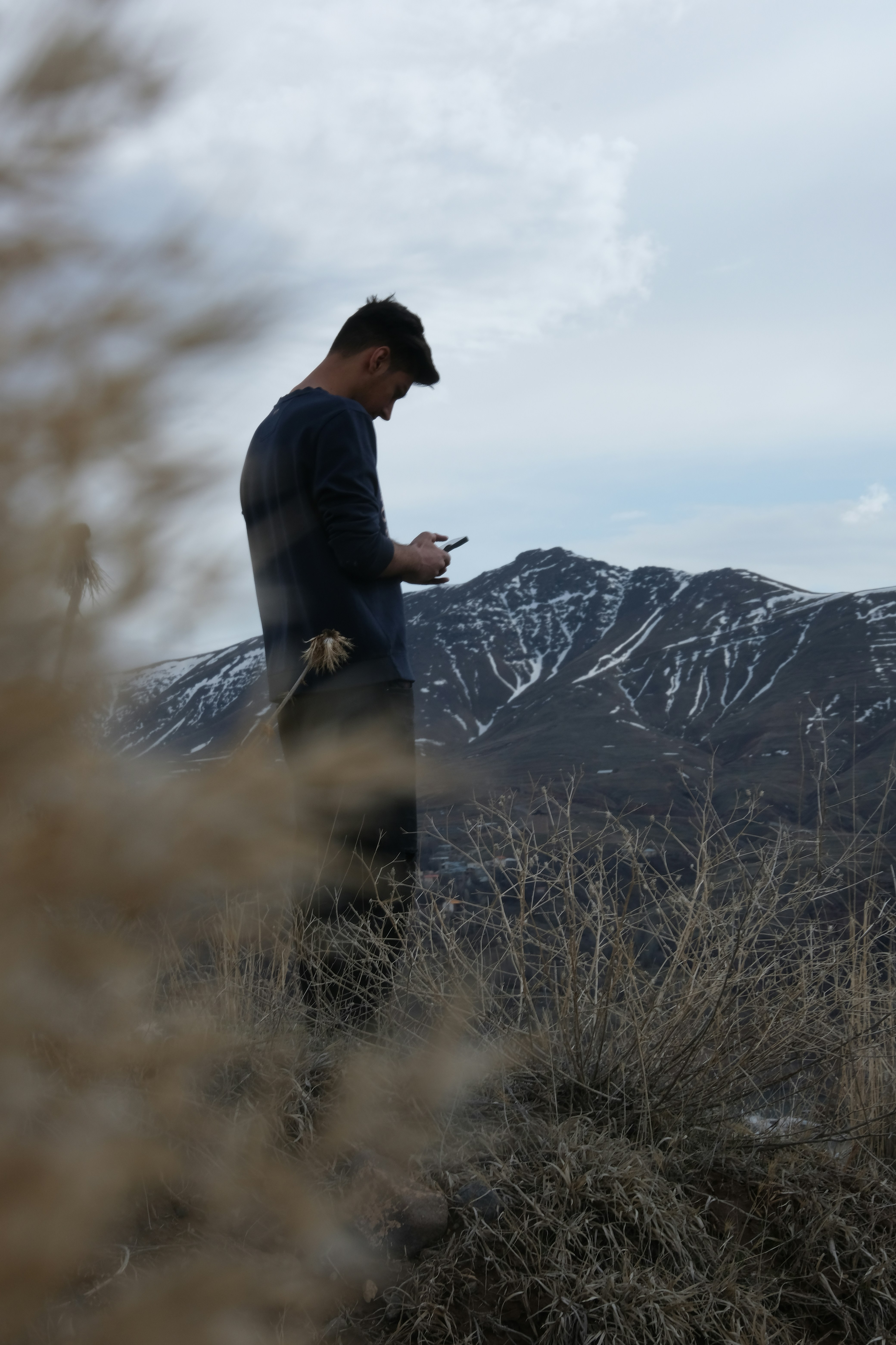 Alpine Quiet: A lone figure checks his phone against wind-swept grasses and snow-capped ridges