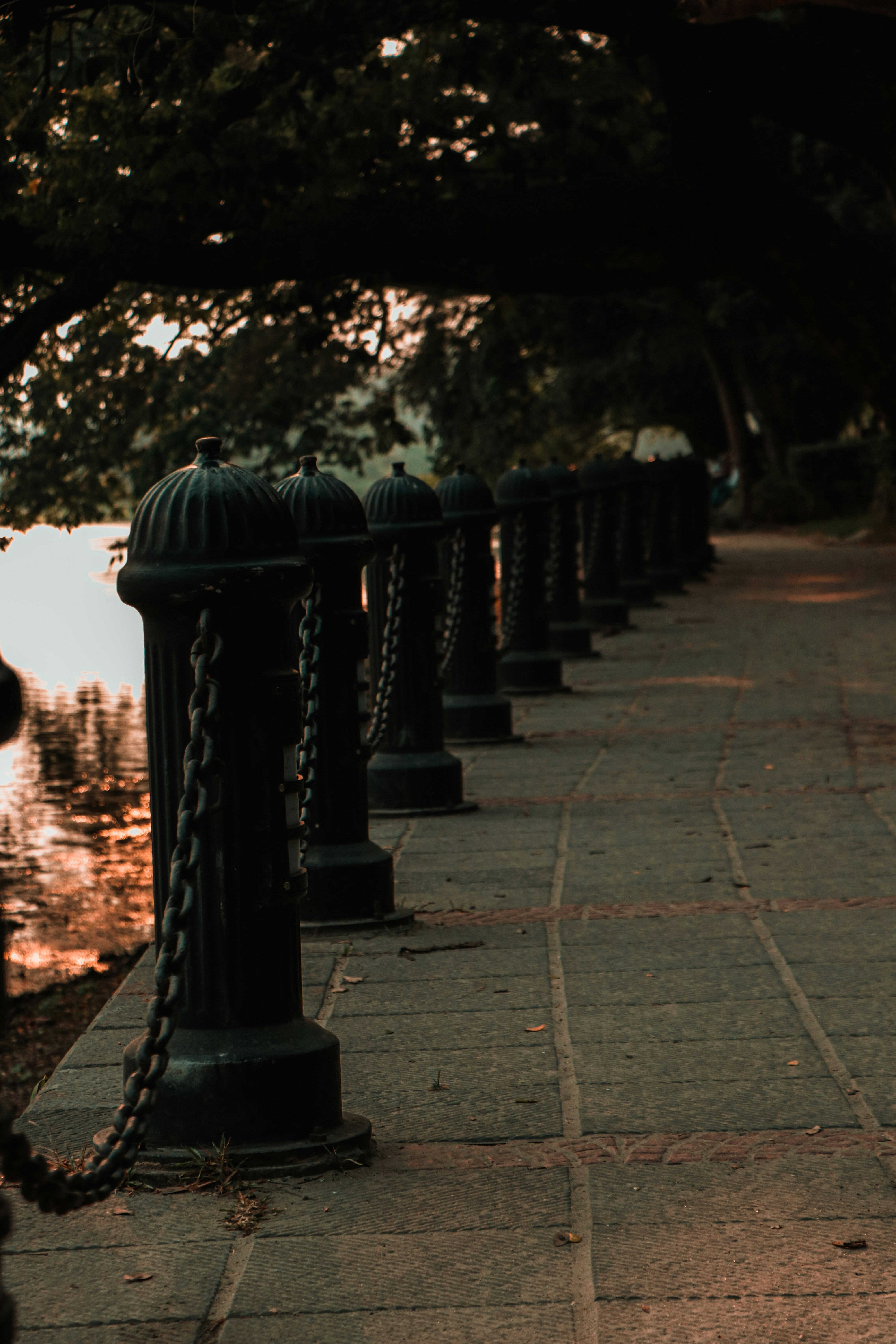 A row of black fire hydrants sitting next to a lake photo – Free Path ...