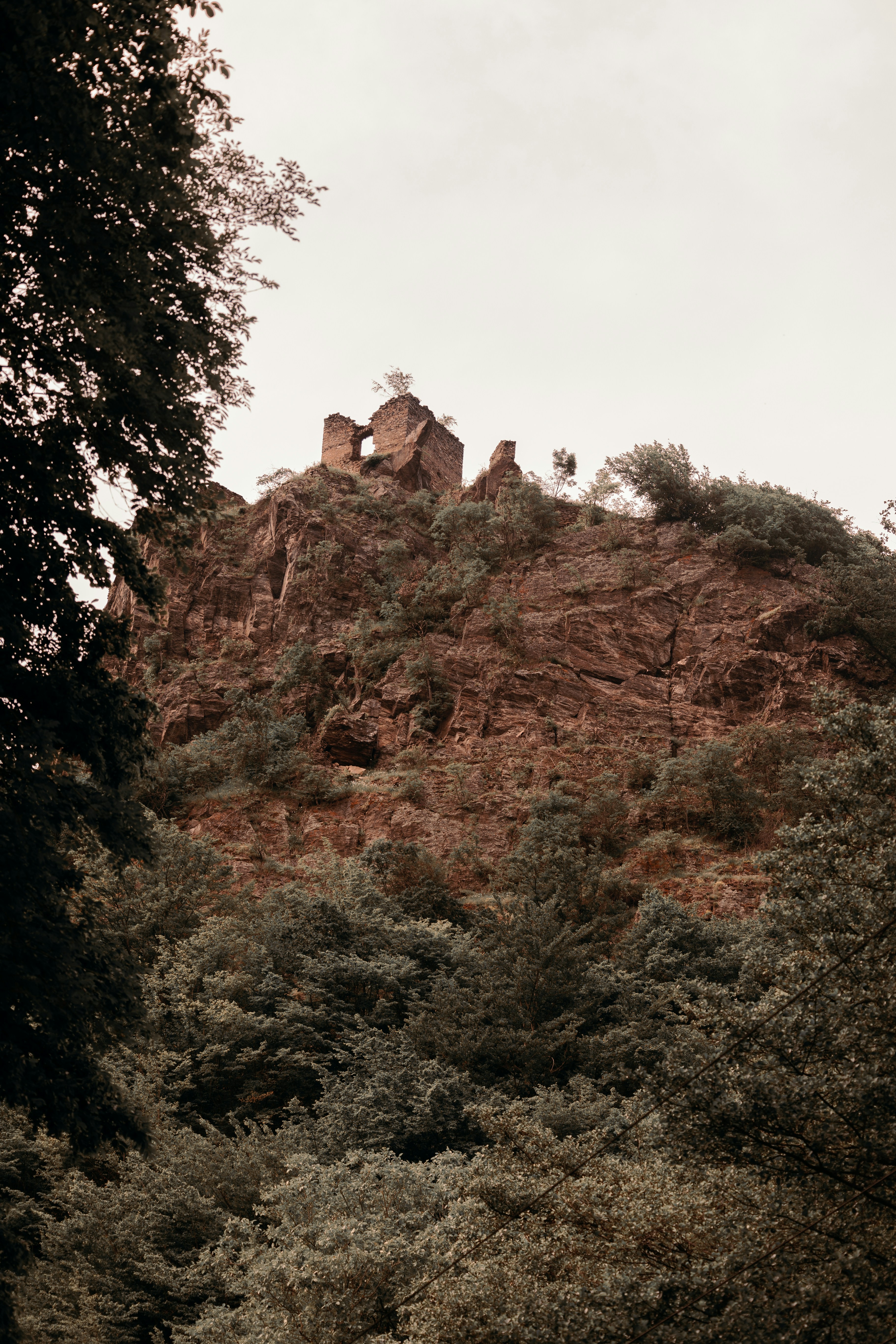 Crimson Cliff Ruins Crowned by Pines