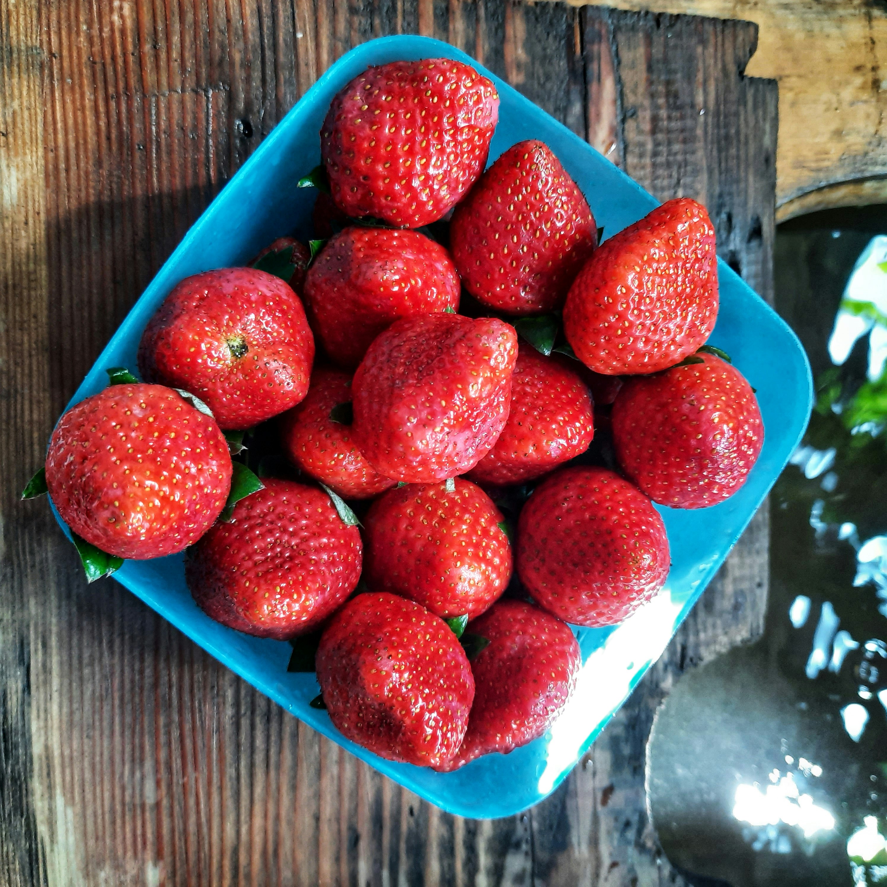 Bright red strawberries fill a blue ceramic bowl on a weathered wooden surface. Natural light highlights texture and color in this simple strawberry still life.