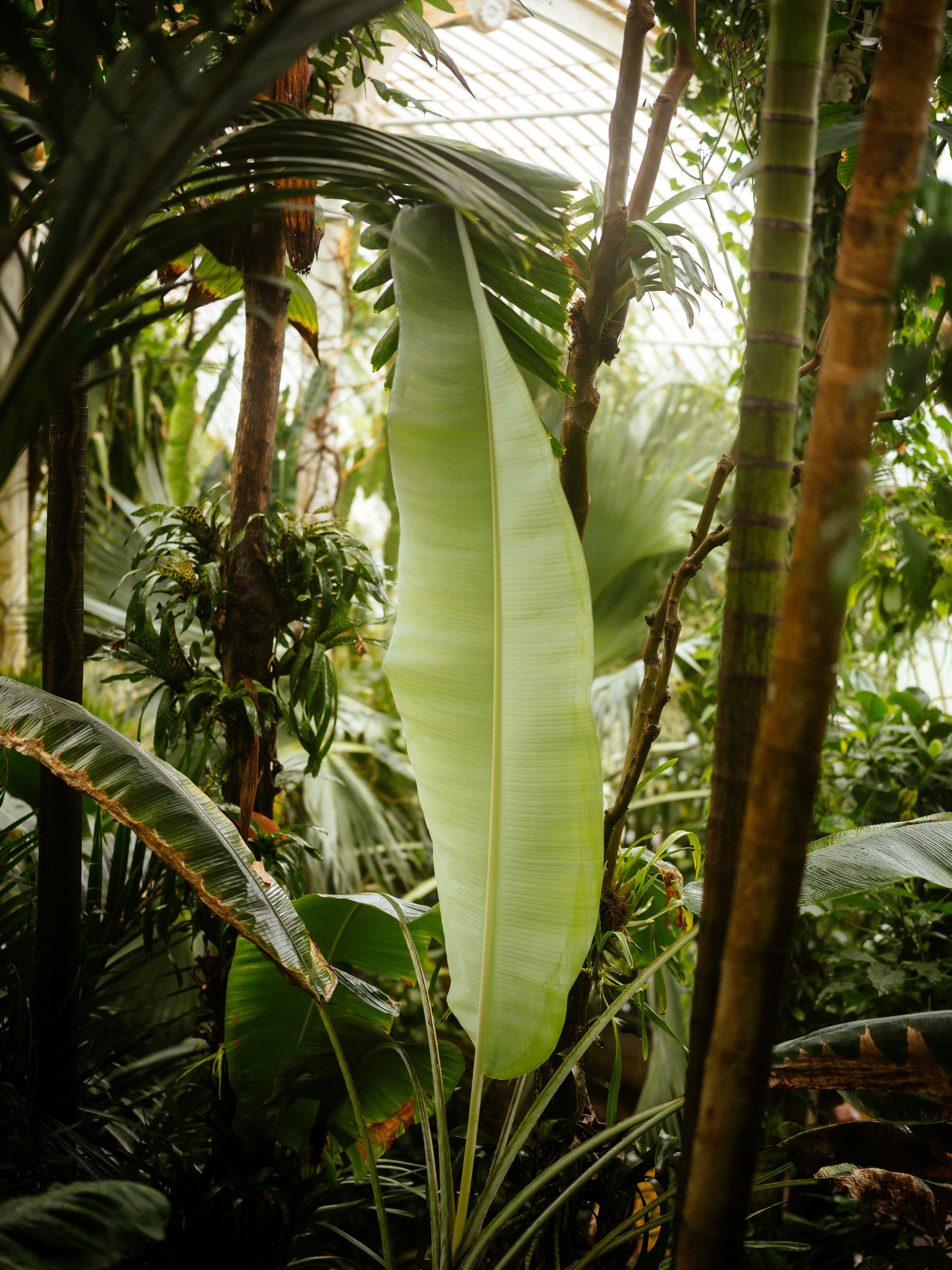 Photo by Annie Spratt with Hasselblad 907X 50C