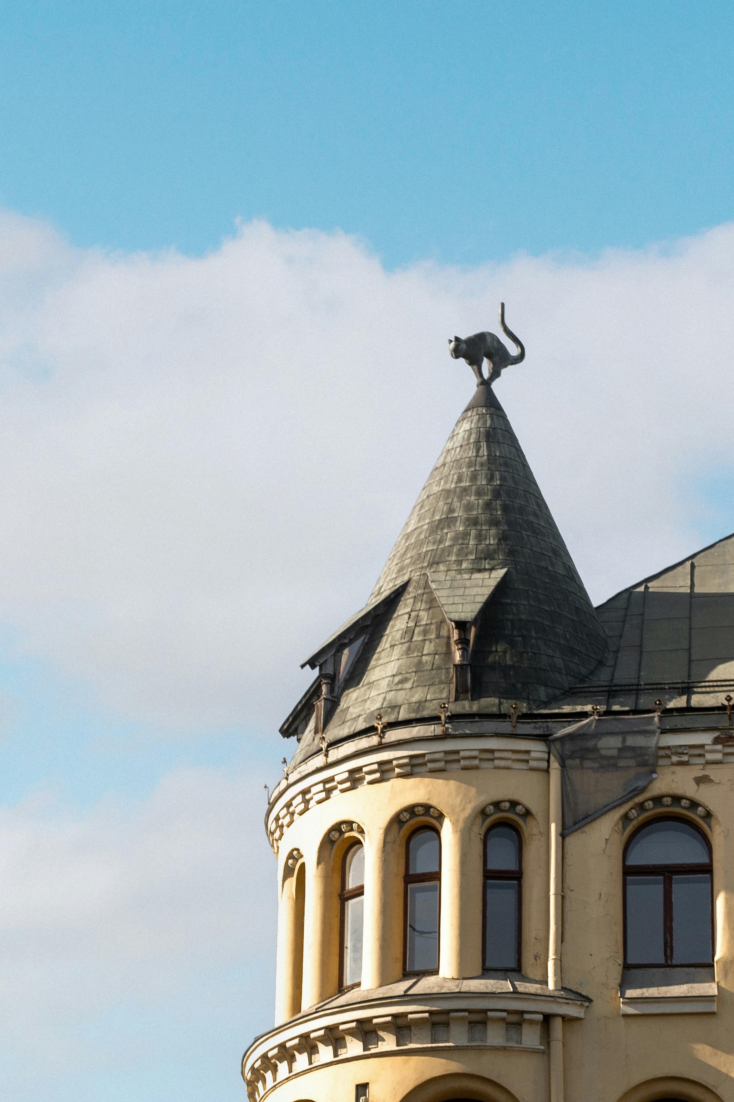 Whimsical Watcher: The Cat atop the Tower
