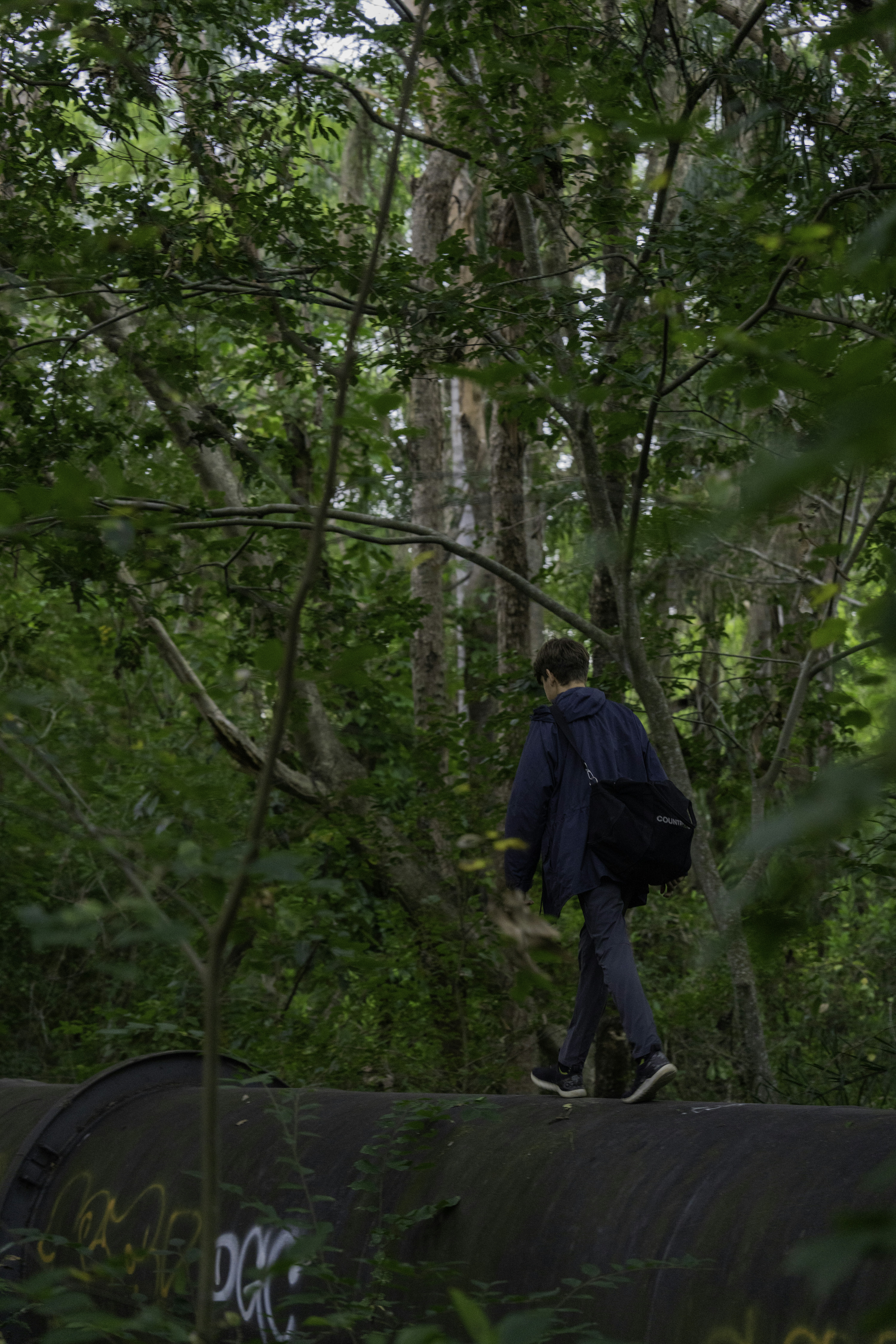 Wanderer Balancing on a Graffiti-Streaked Pipeline Beneath Dense Forest Canopy