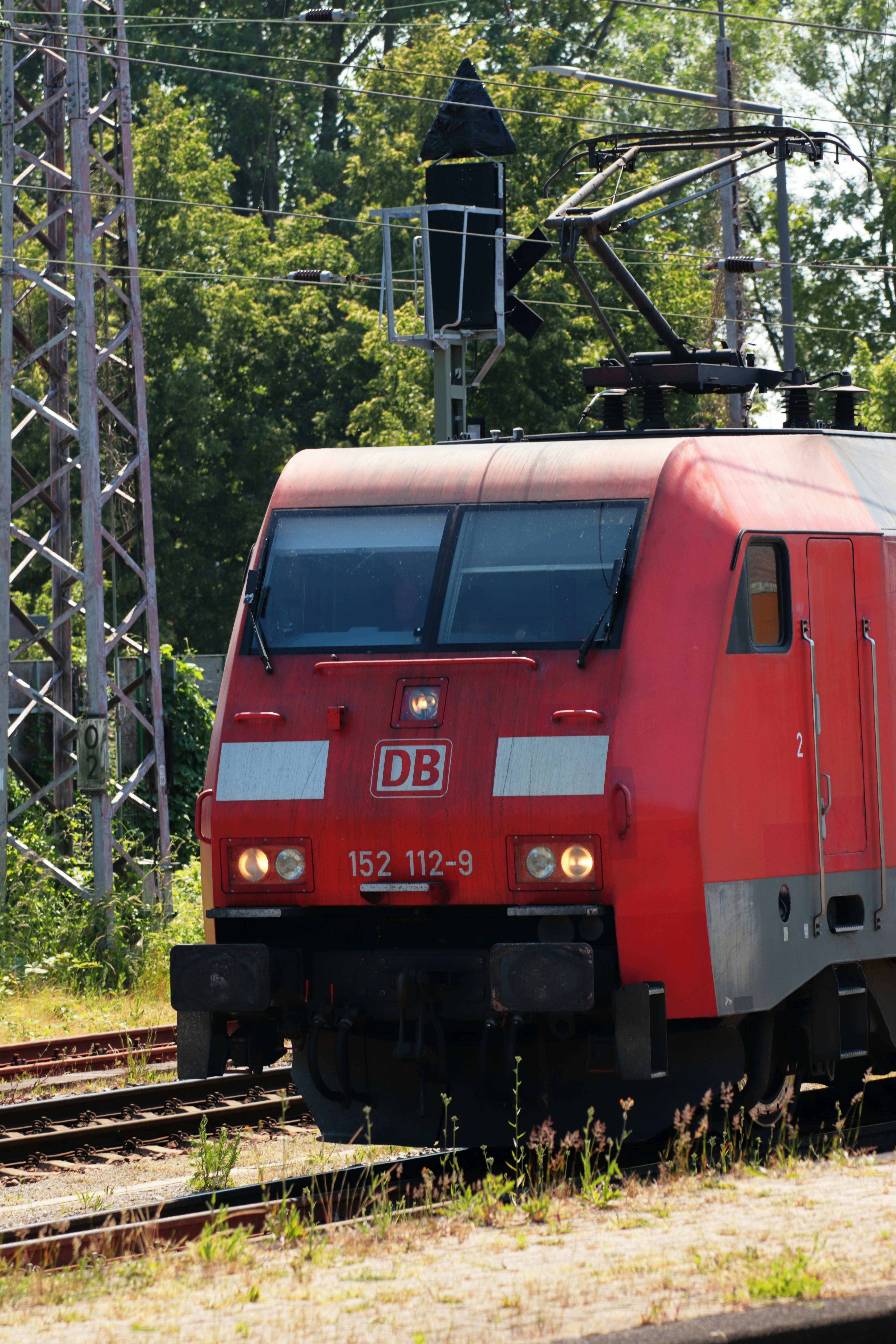 Un train rouge descendant les voies ferrées à côté d’une forêt photo ...