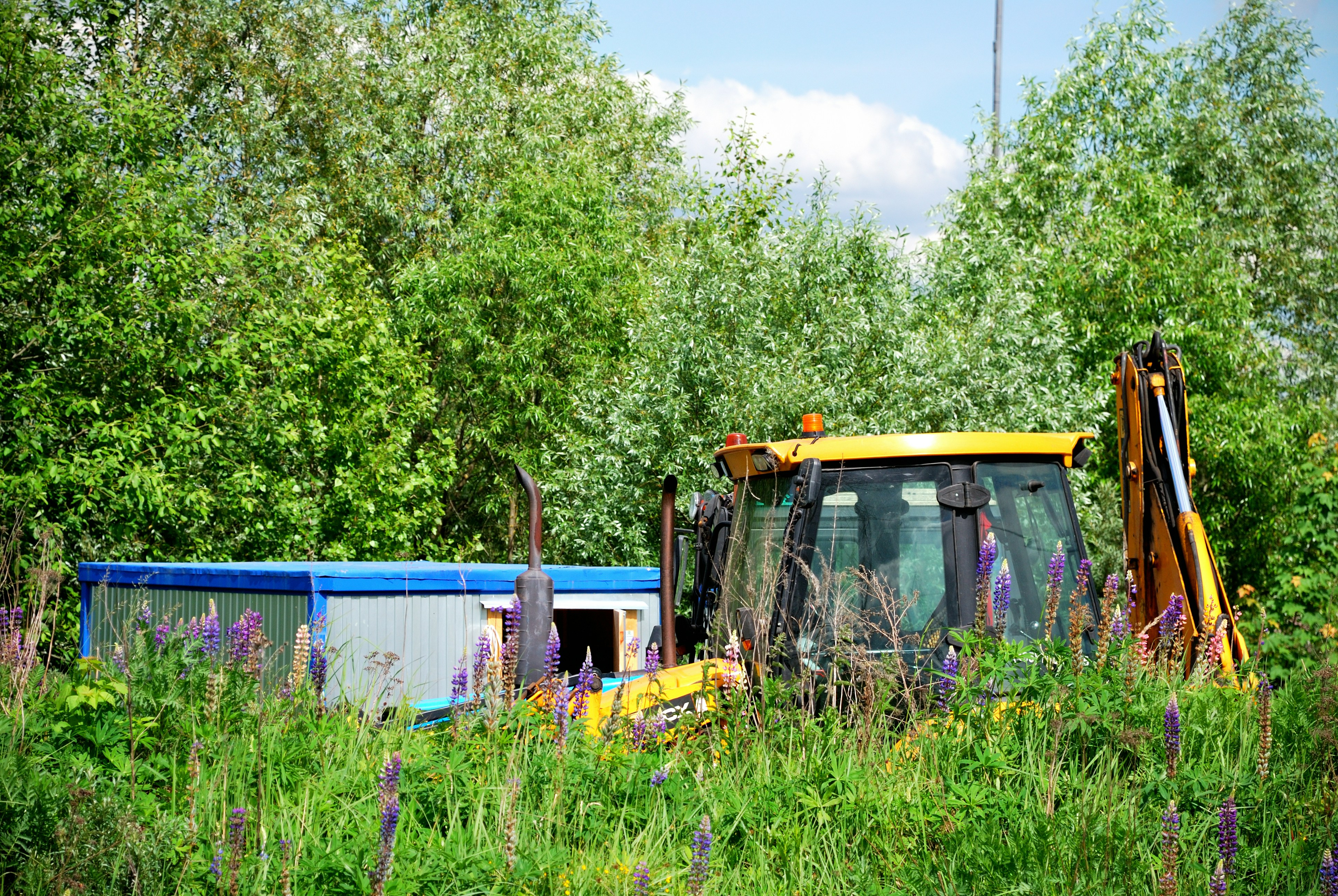 Yellow Excavator in an Overgrown Yard, Framed by Violet Blooms and Blue Crates