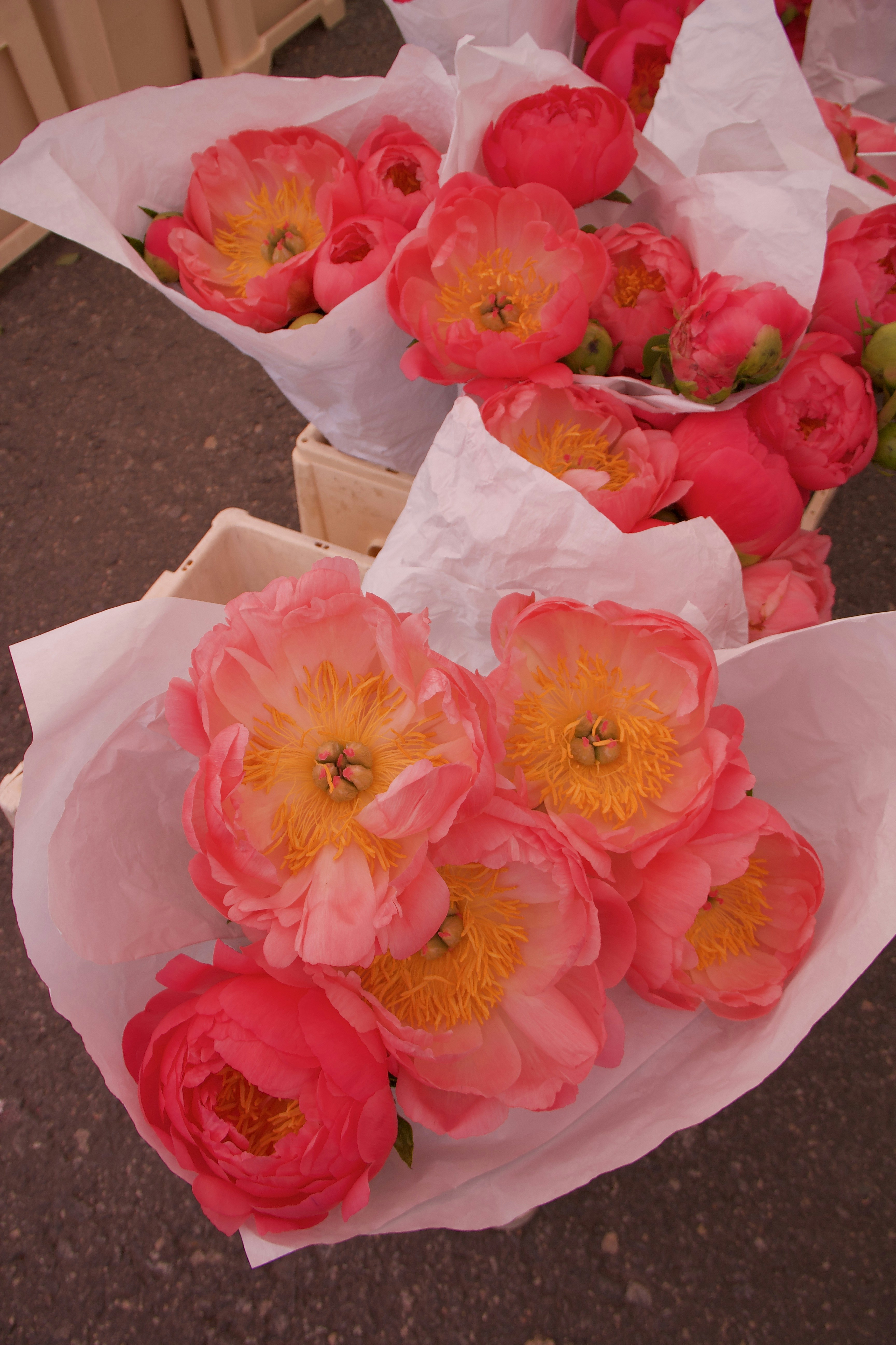 Rosy Market Cascade: Pink Peony Bouquets Wrapped in White Tissue