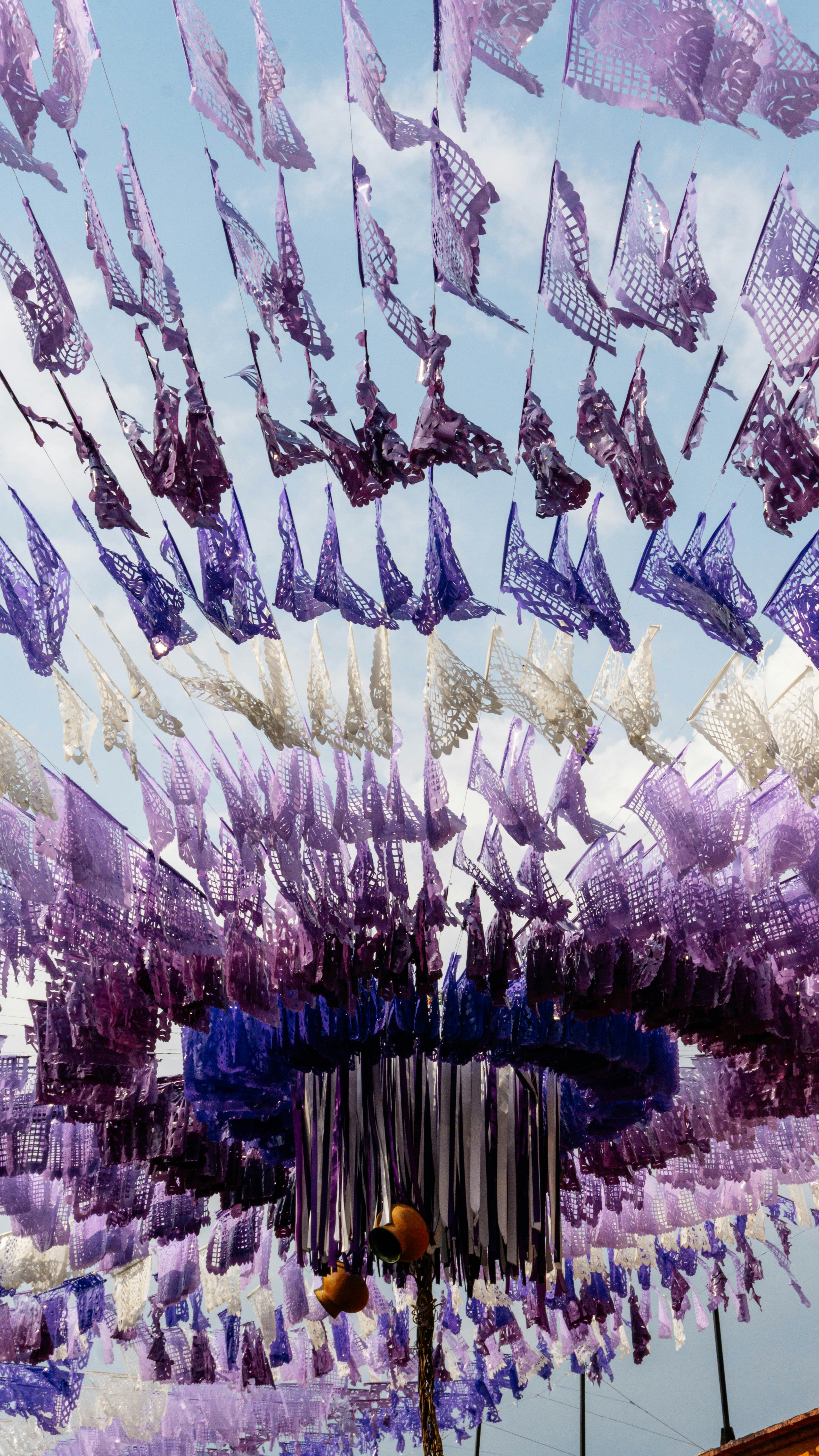 A bunch of purple flags flying in the air photo – Free Oaxaca Image on ...