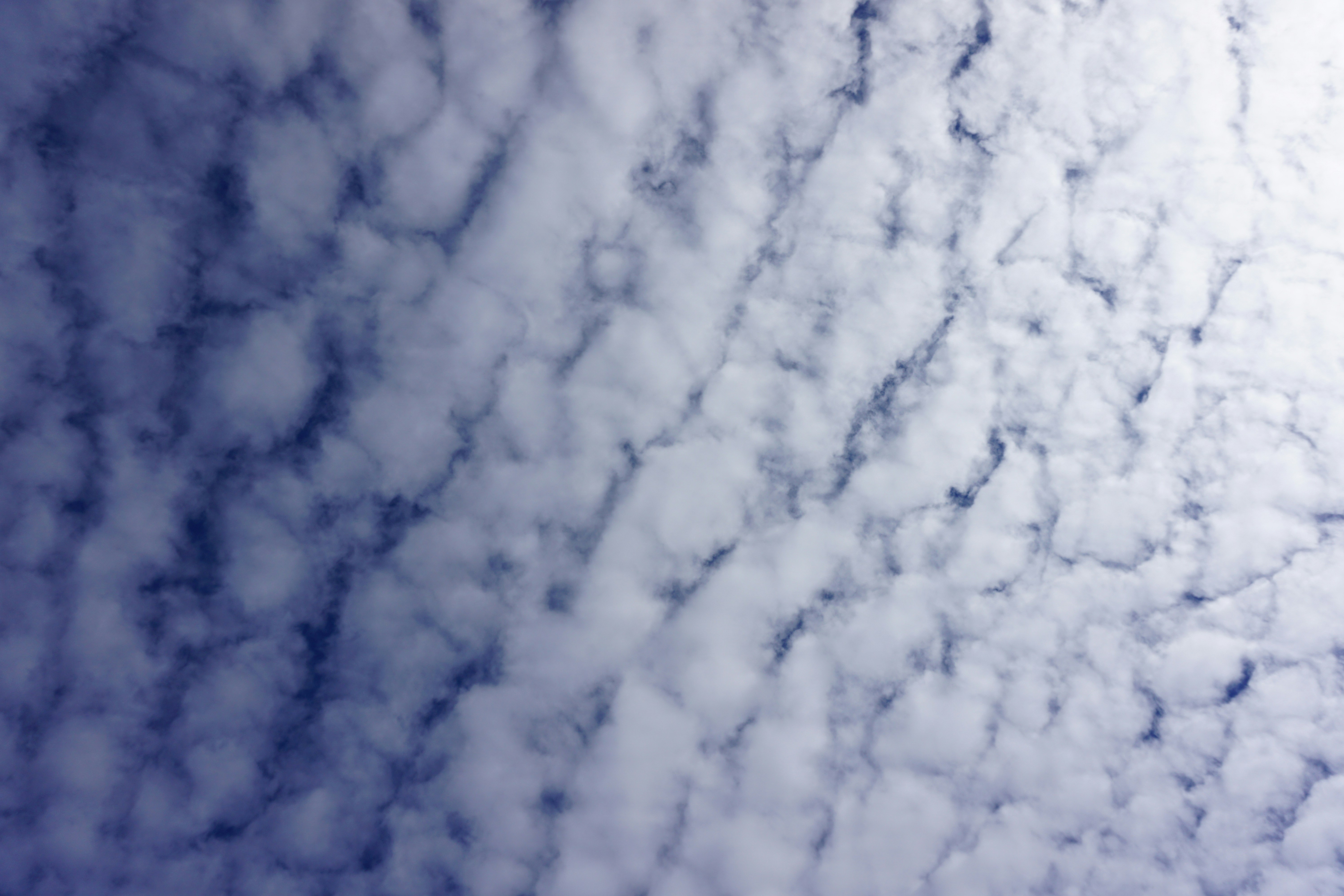 Waves of blue: altocumulus quilt across a tranquil sky