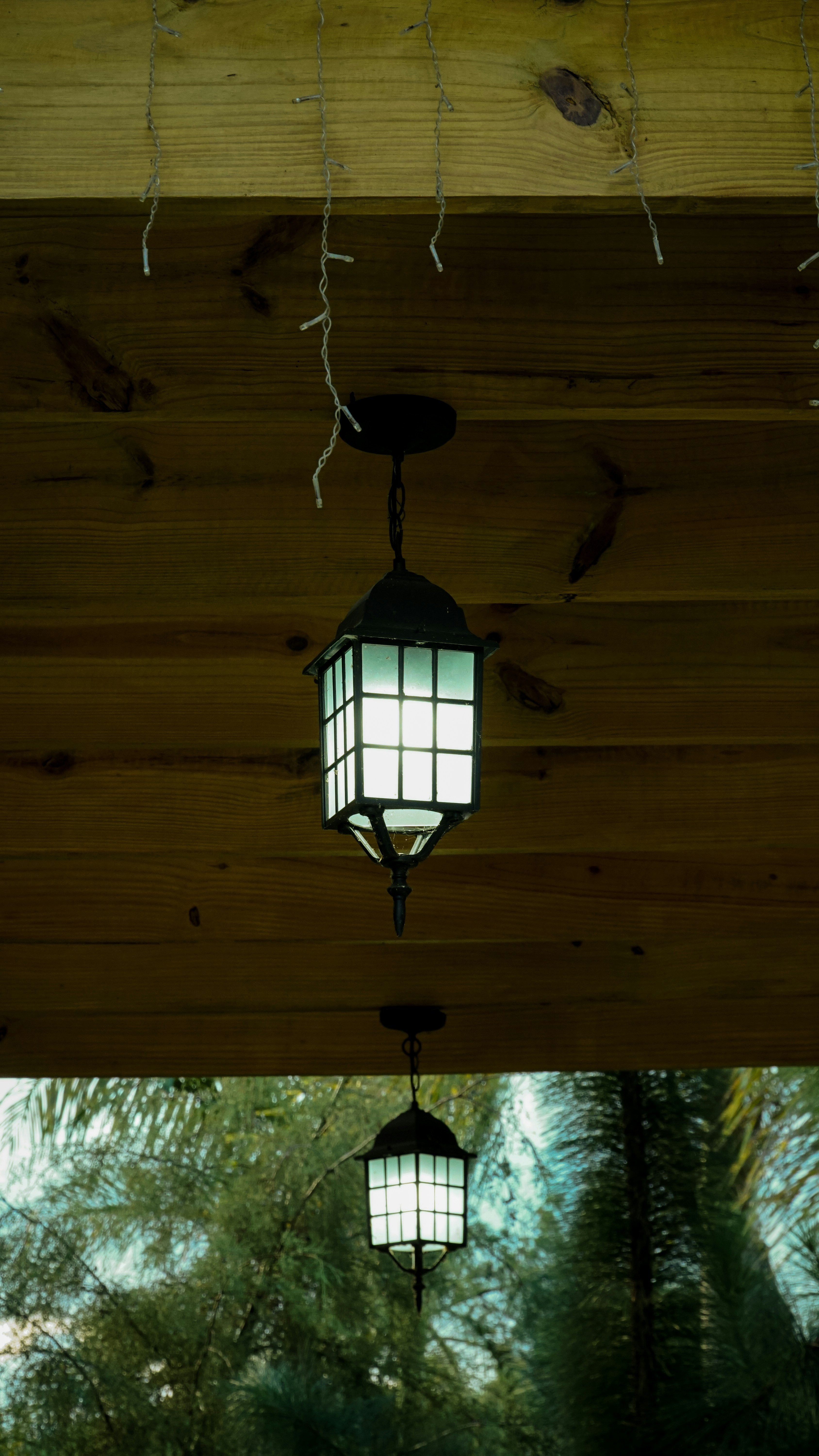 Lanterns Under Cedar Beams: Quiet Porchlight Amid Tropical Foliage