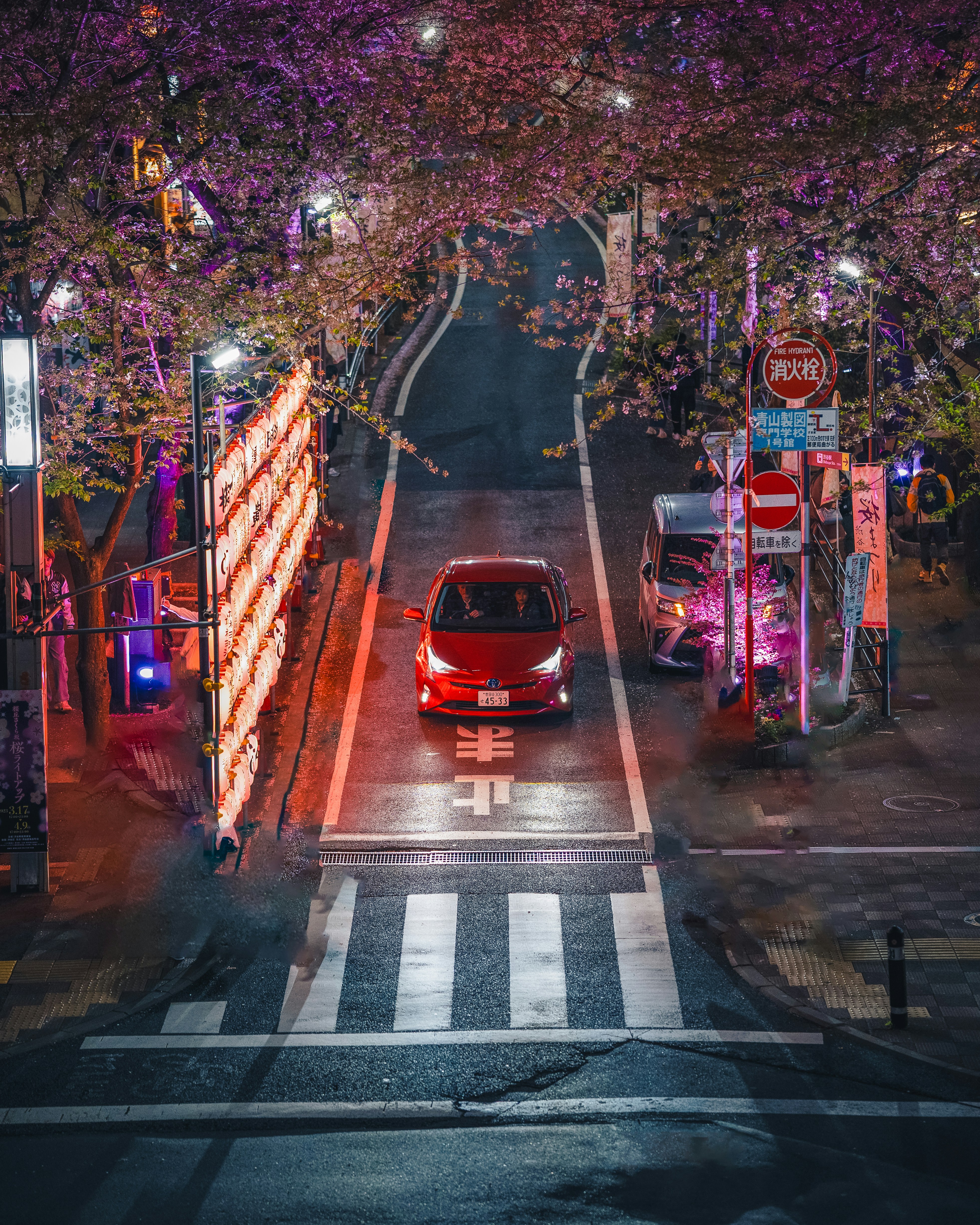 Crimson Car at the Sakura-Neon Crosswalk