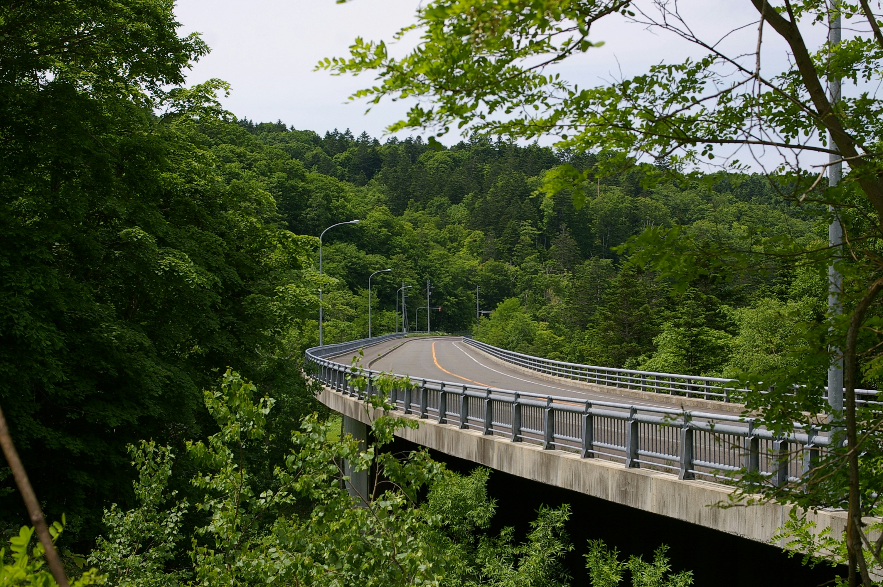 Photo by Yujin Yano with Pentax *ist DS