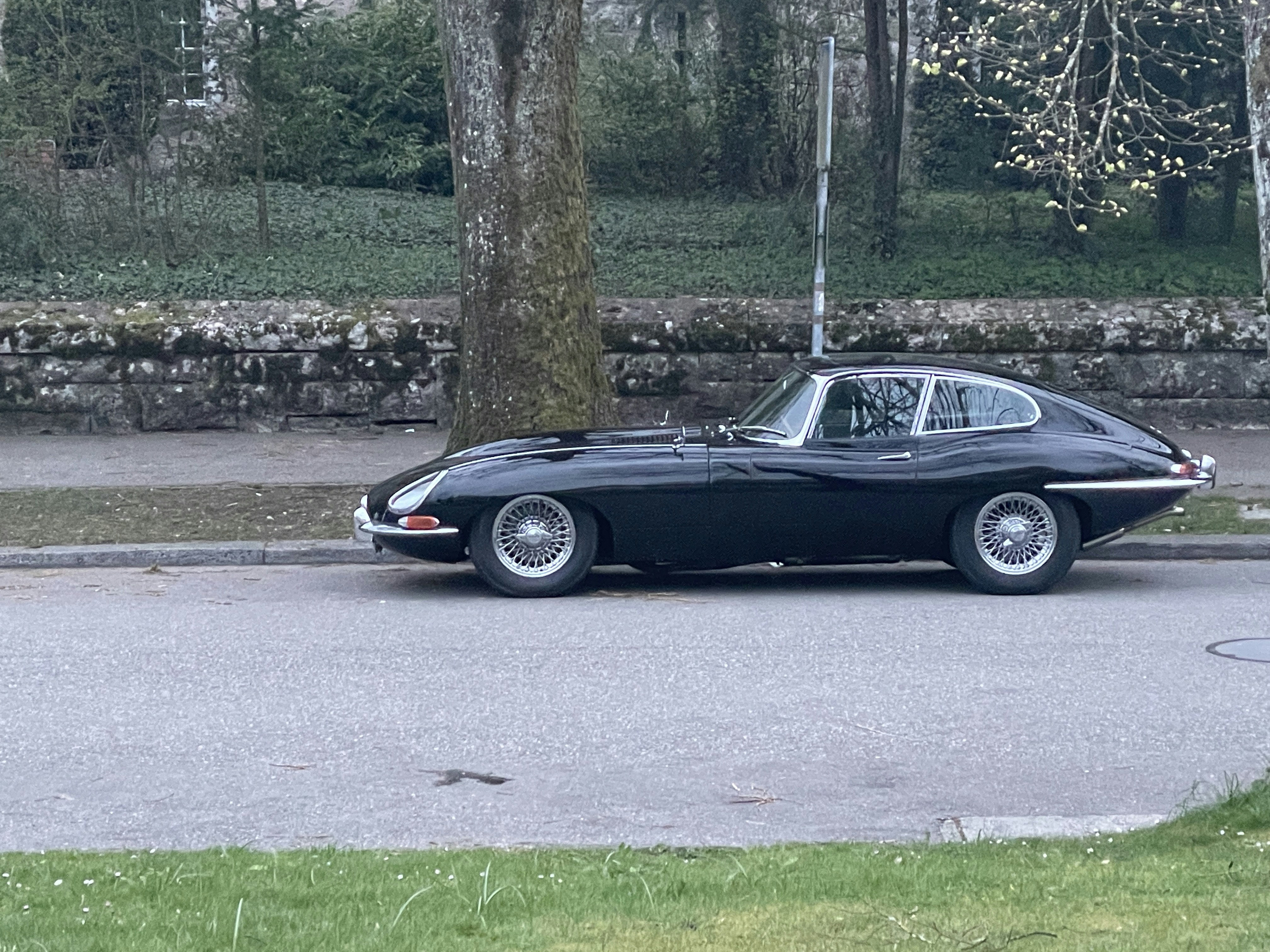 Midnight Classic: A Sleek Jaguar Stopped by a Park