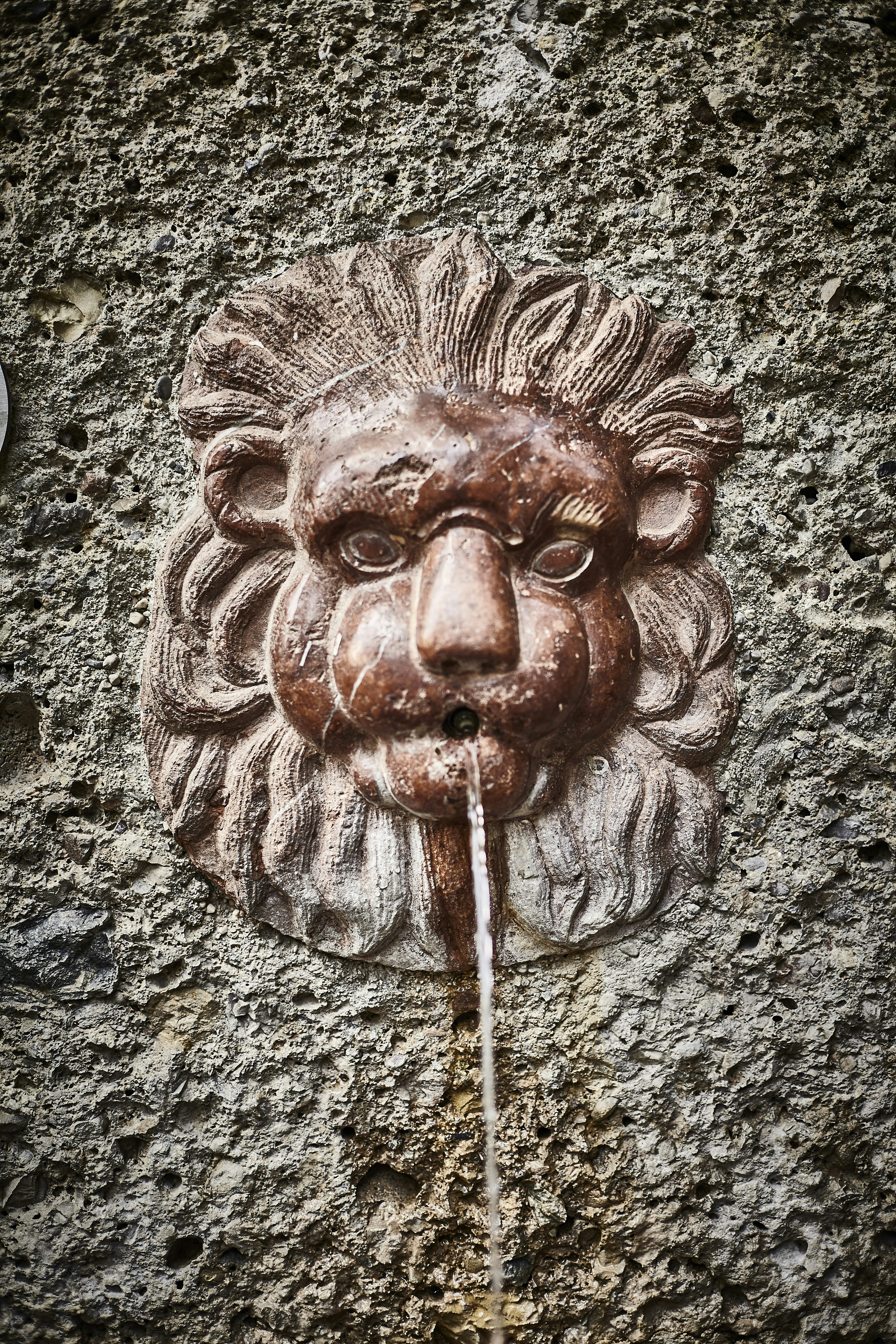 Whispering Stream from a Weathered Stone Lion