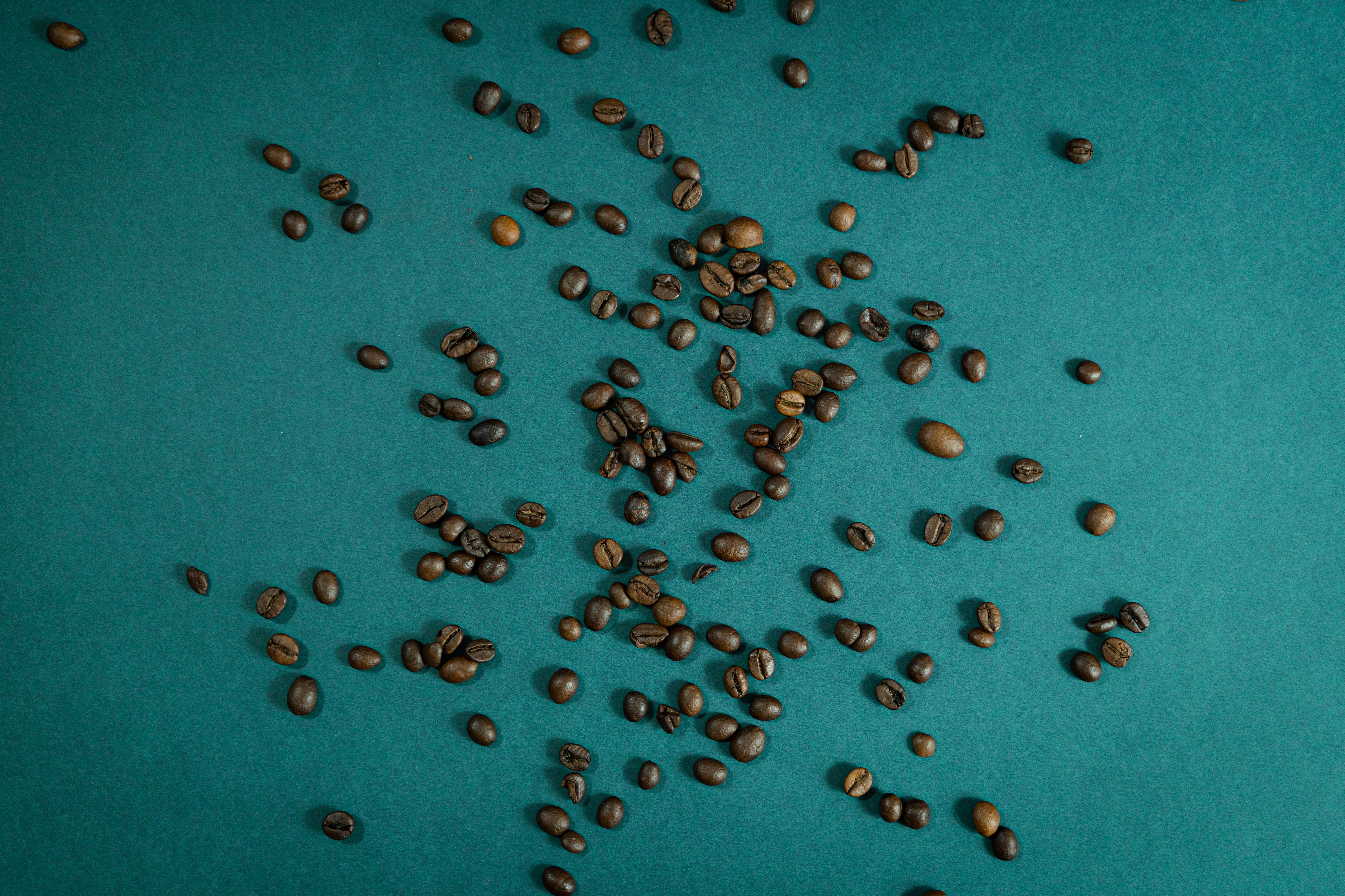A pile of coffee beans on a blue background photo – Free Coffee Image ...