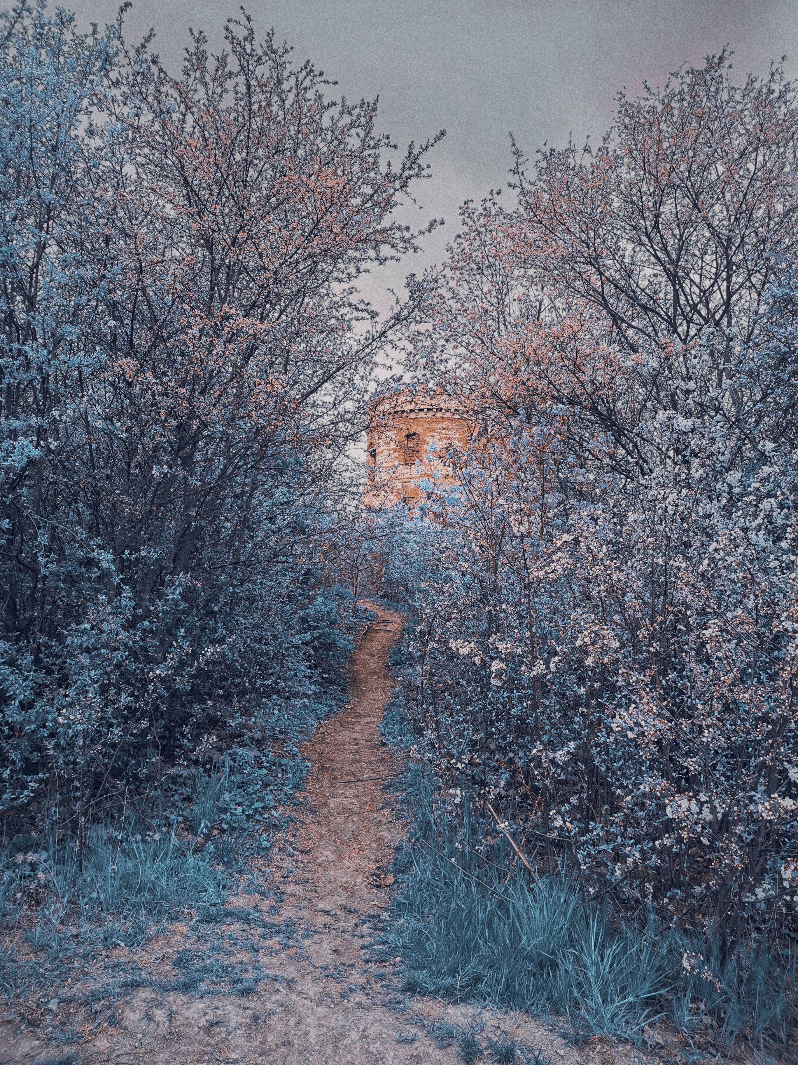 A winding trail through a lush thicket leads to a distant stone structure, surrounded by blooming foliage. The scene evokes a sense of mystery and exploration.