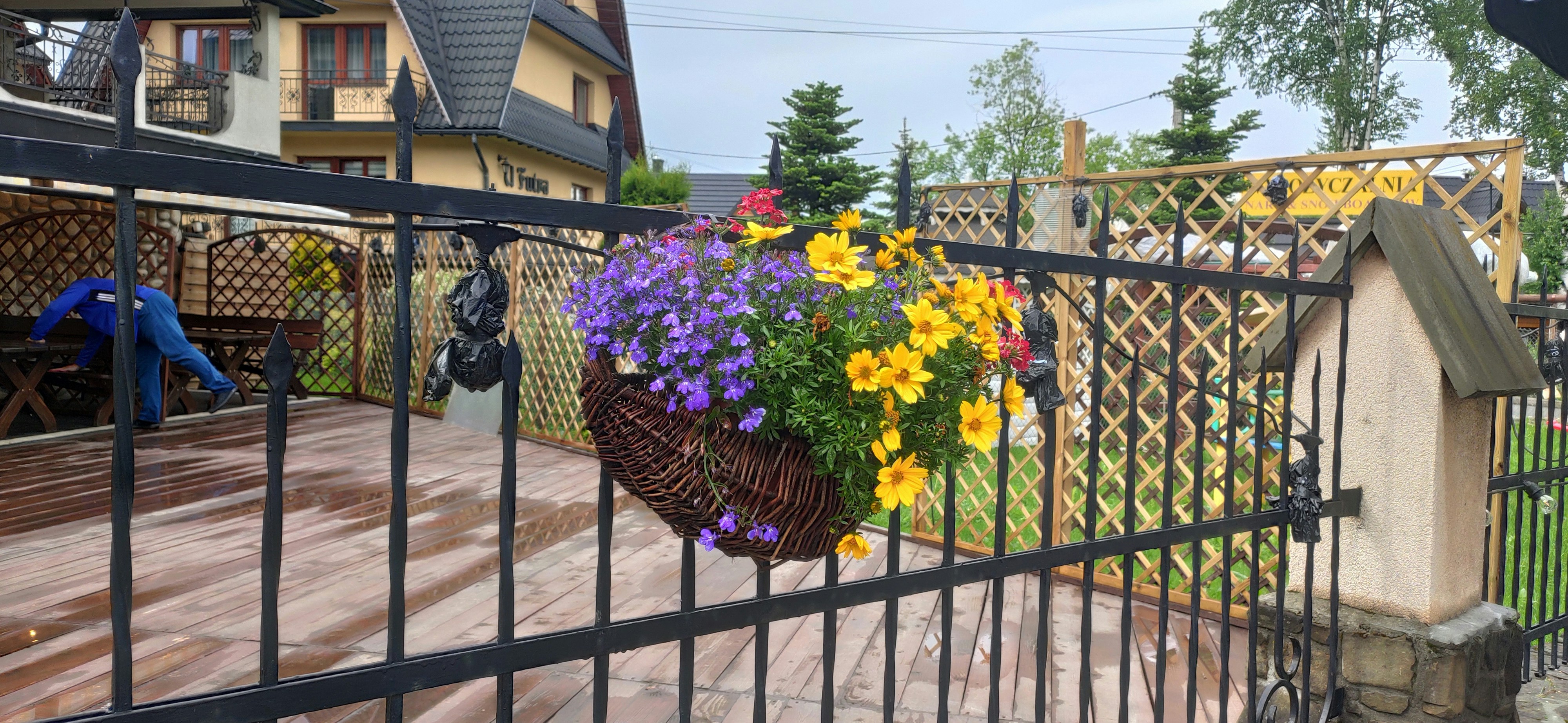 Blooming Basket on a Wrought-Iron Gate Framing a Quiet Courtyard