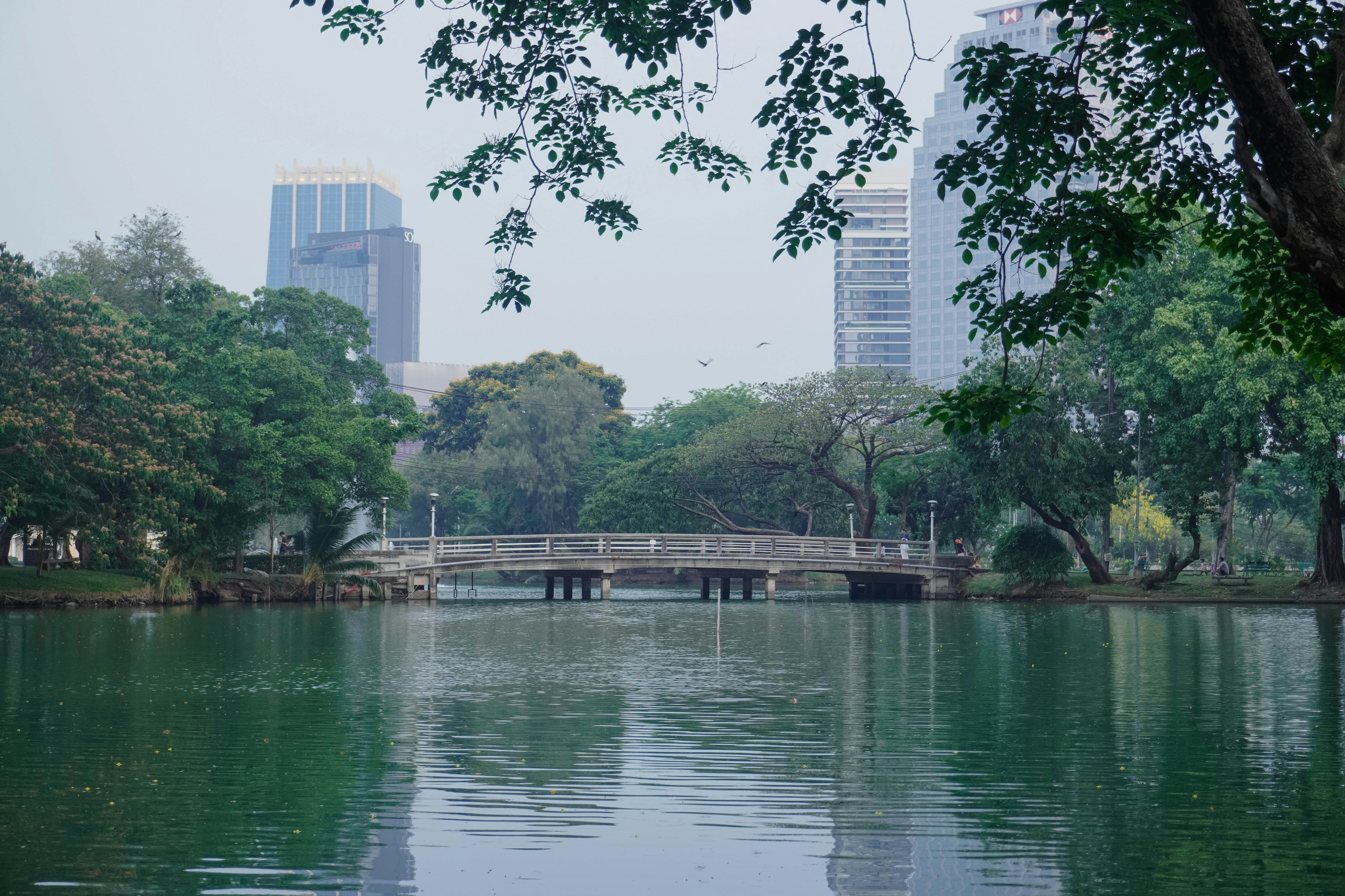 Tranquil lake framed by lush trees with a stone bridge and tall buildings in the background.