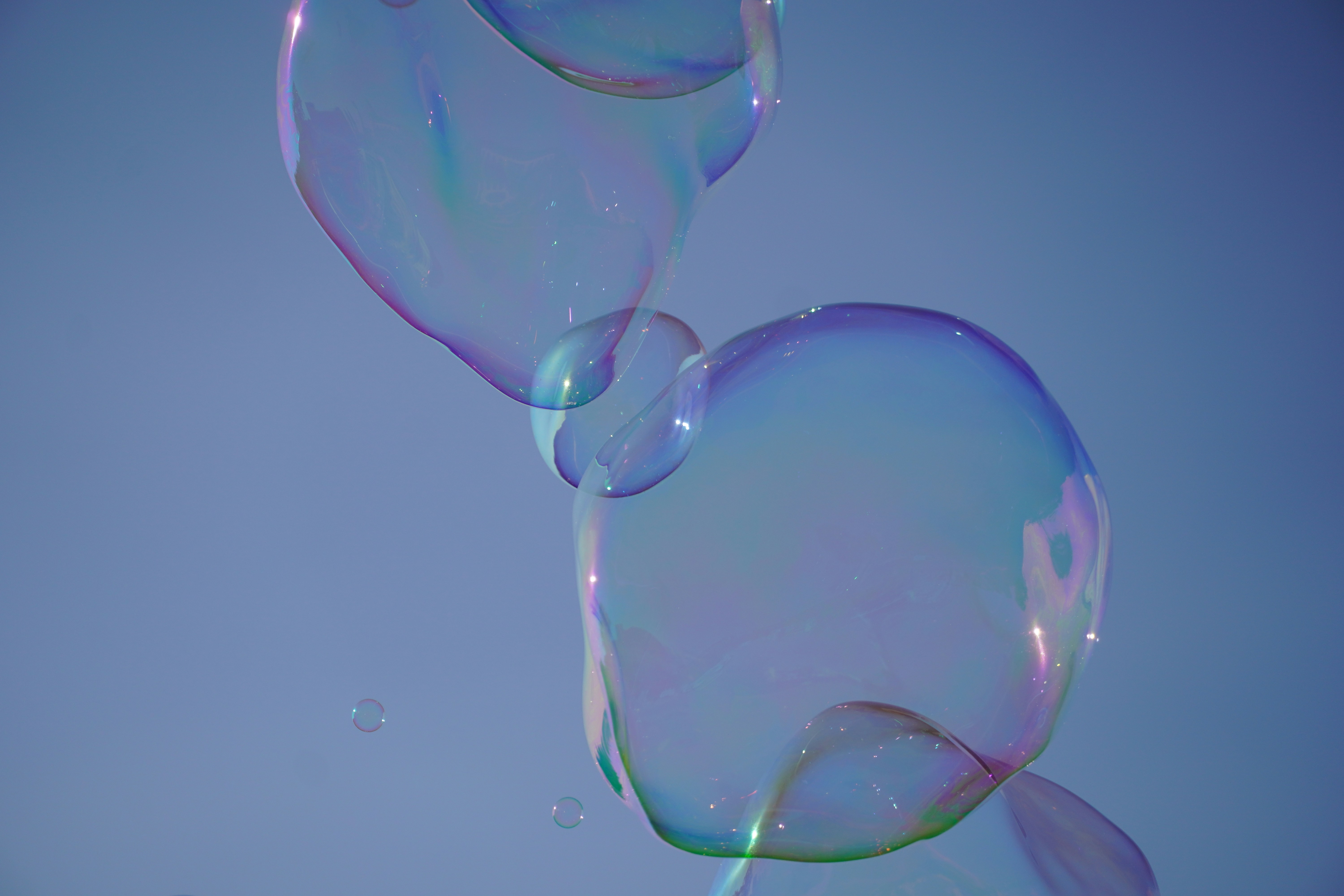 Daily Wit: 7 Wisecrack Hacks for Instant Humor! 😂 - Funny Quotes