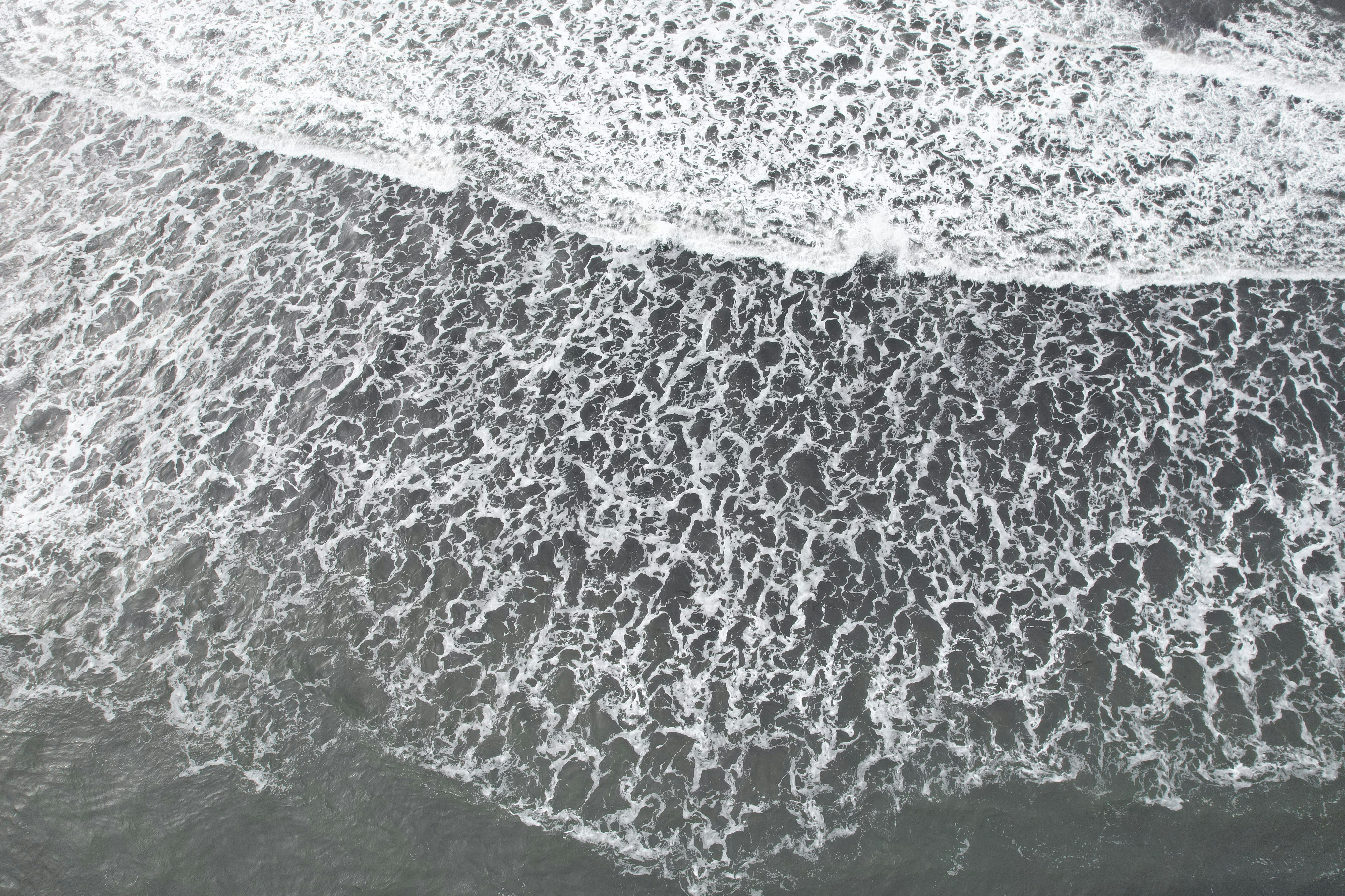 Foam Lace along a Grayscale Shoreline: An Aerial Study
