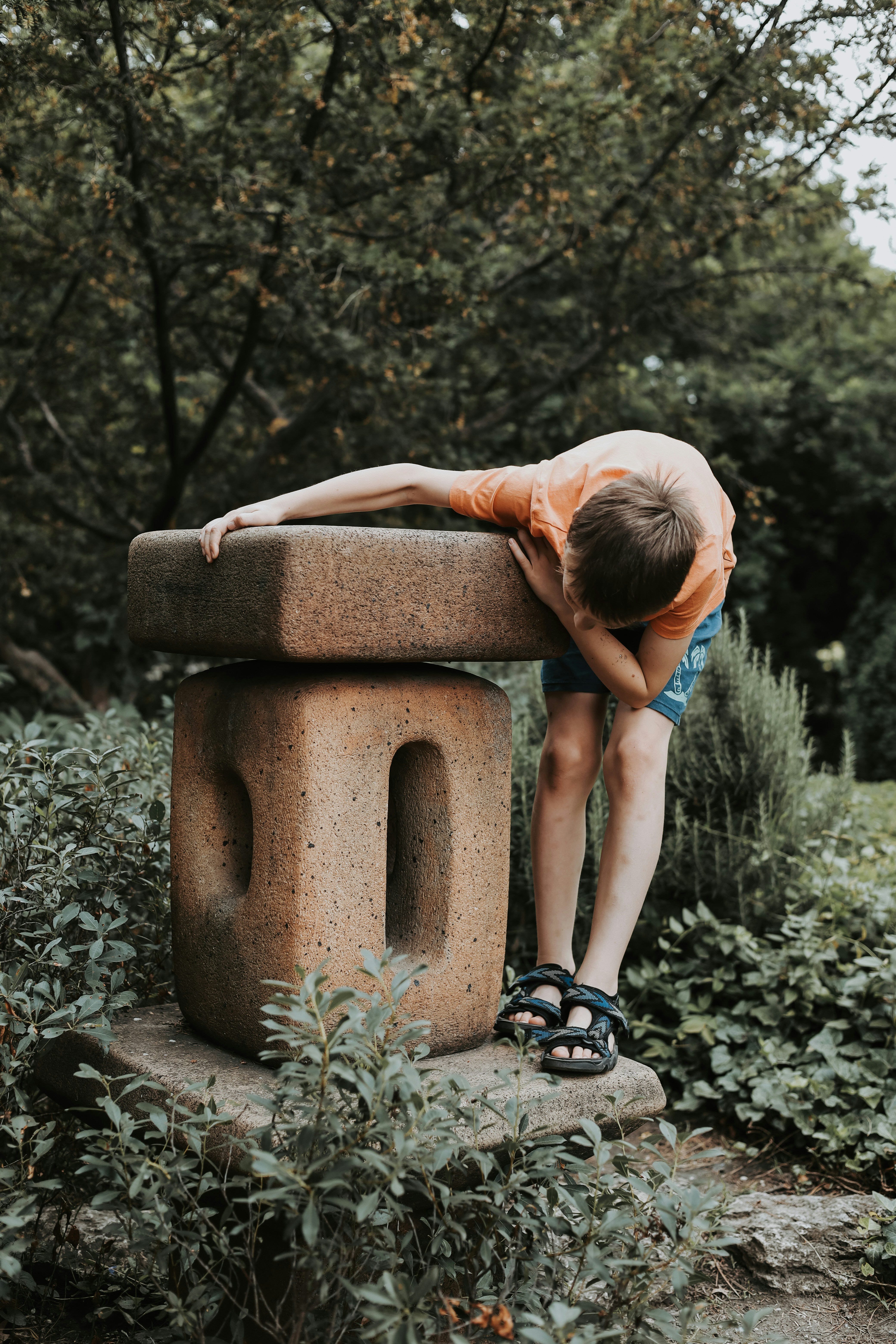 Leaning Between Stone and Sky: A Garden Interlude