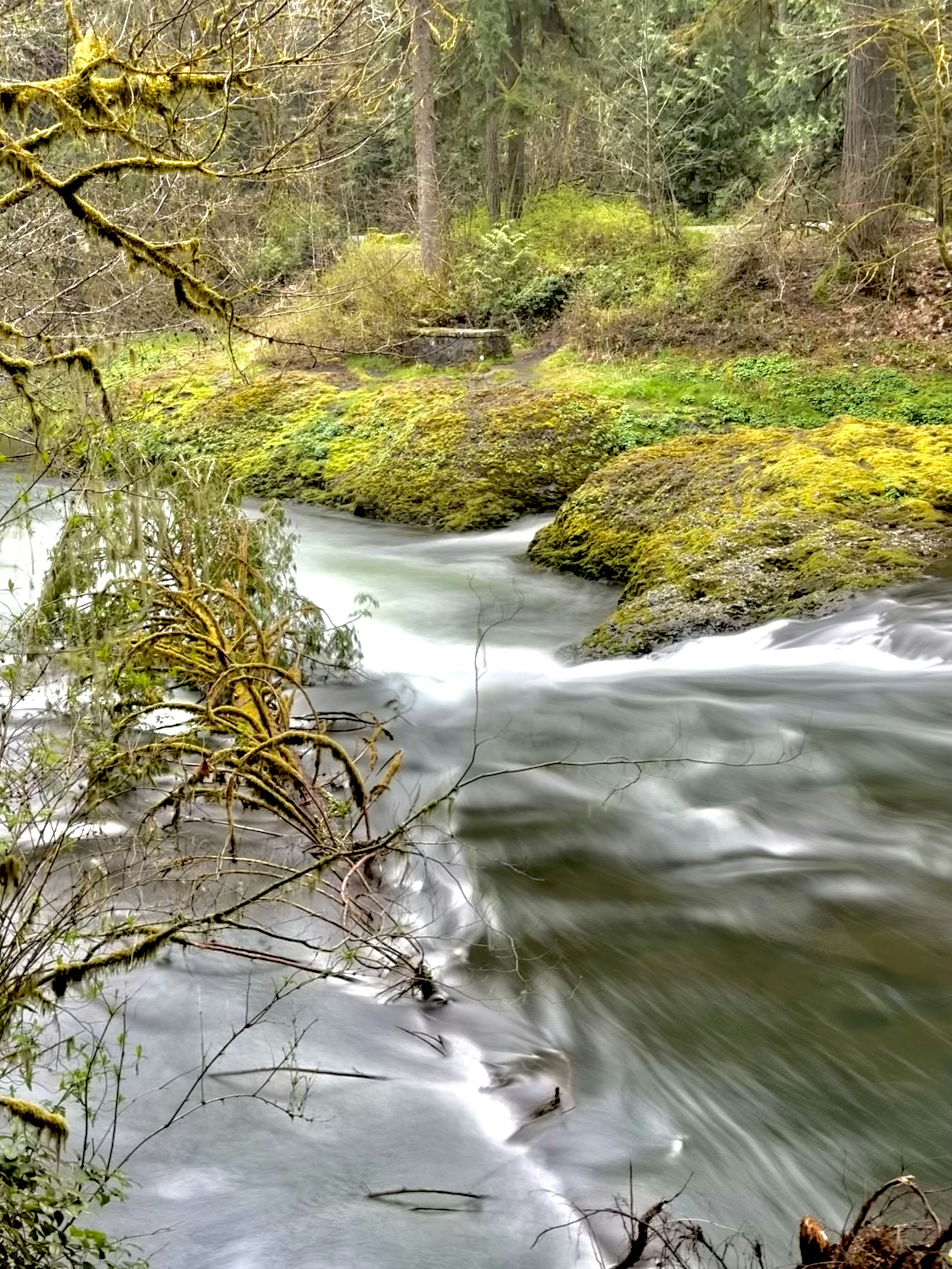 Une rivière qui coule à travers une forêt verdoyante photo – Photo L ...
